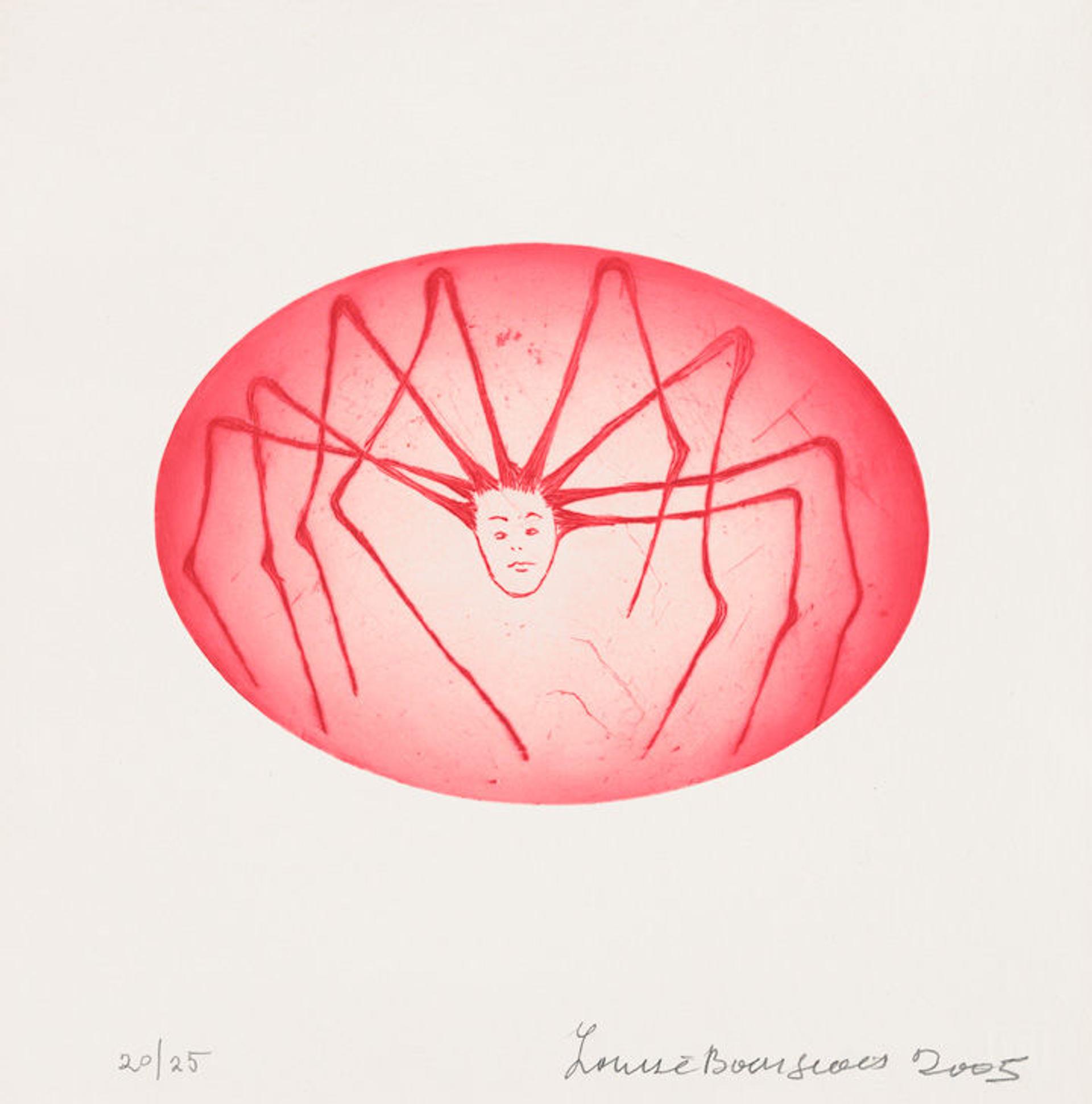 The Art of the Spider's Web - The Metropolitan Museum of Art