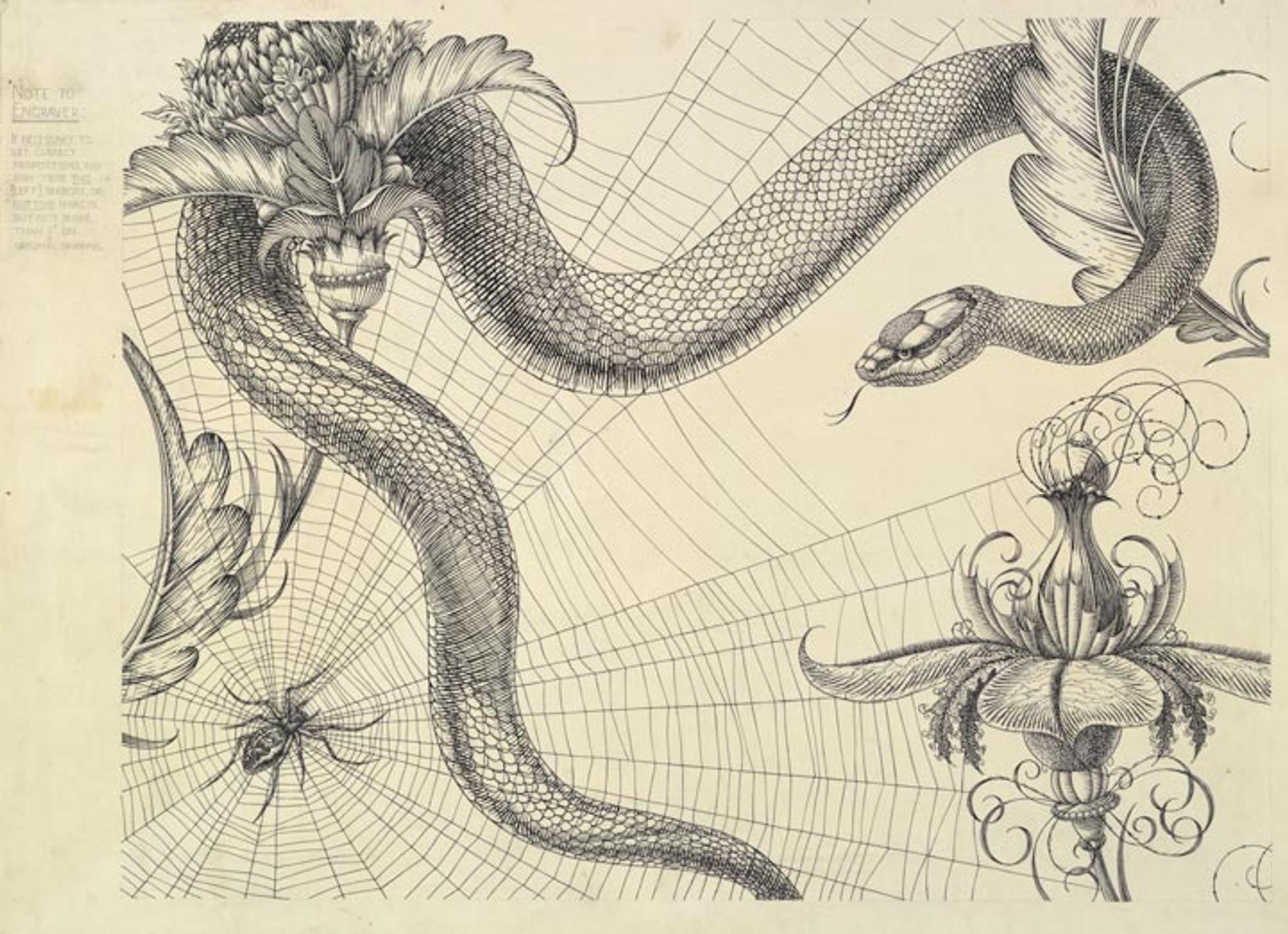 The Art of the Spider's Web - The Metropolitan Museum of Art