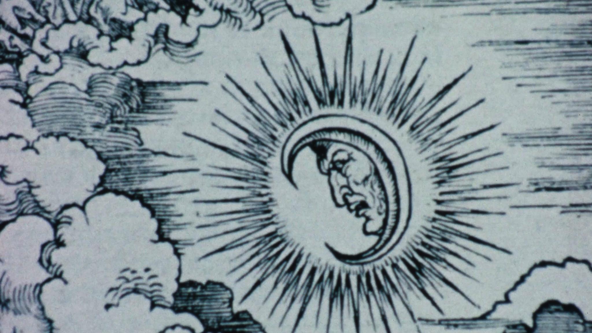 “Woods” by W. H. Auden: An Optical Poem, 2025 - The Metropolitan Museum ...