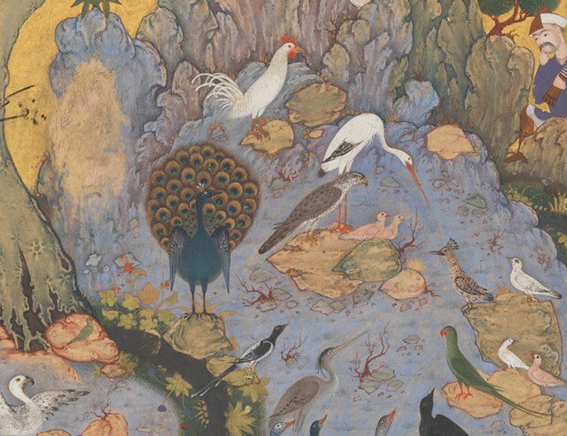 On Birds and Beauty - The Metropolitan Museum of Art