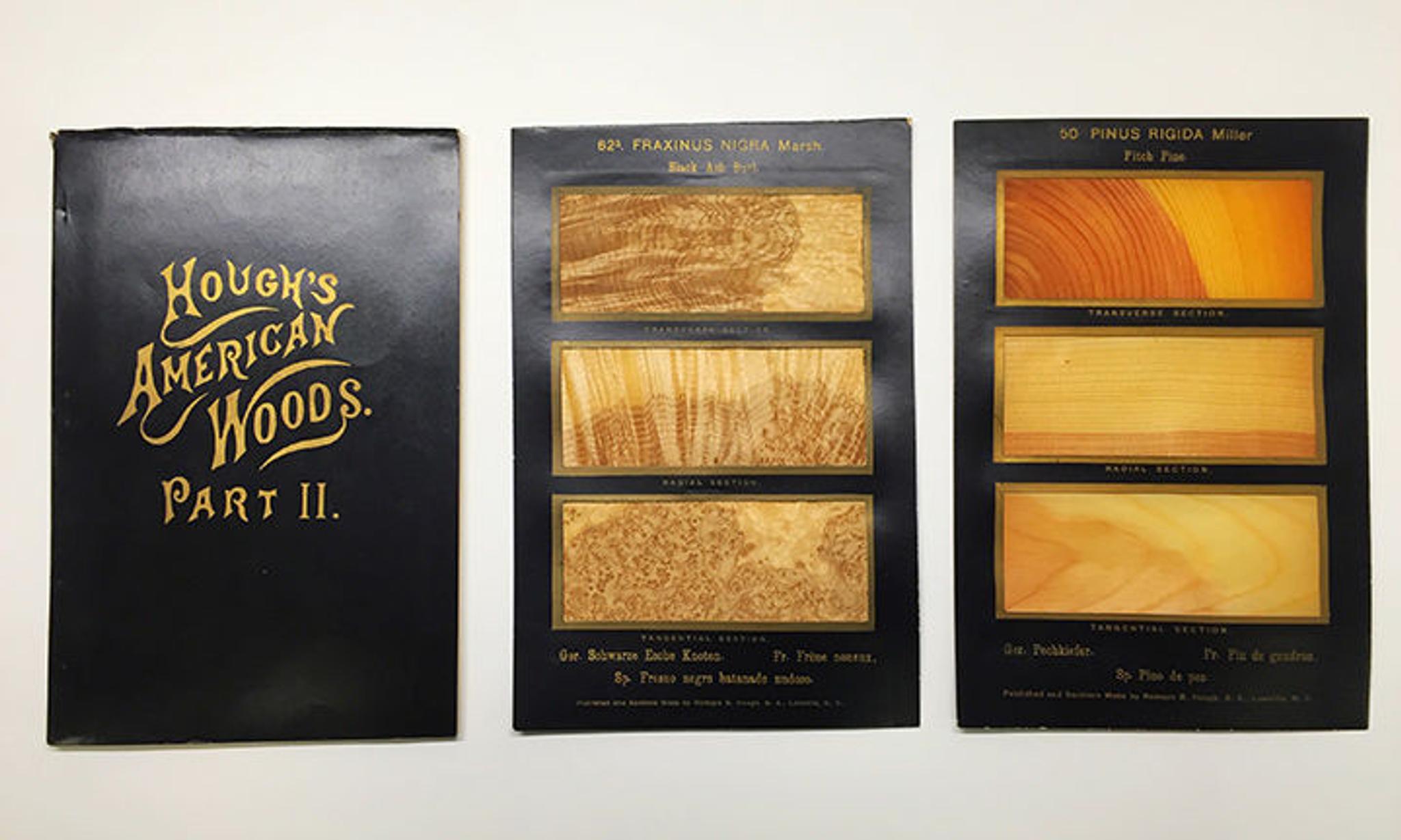 Wood You Like to See Some Samples? - The Metropolitan Museum of Art