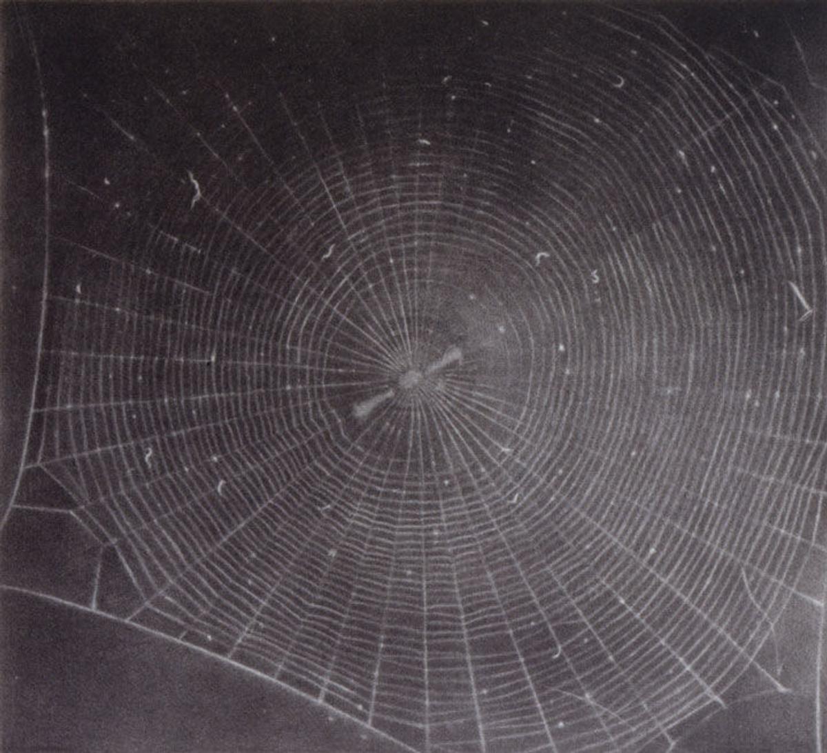 The Art of the Spider's Web - The Metropolitan Museum of Art