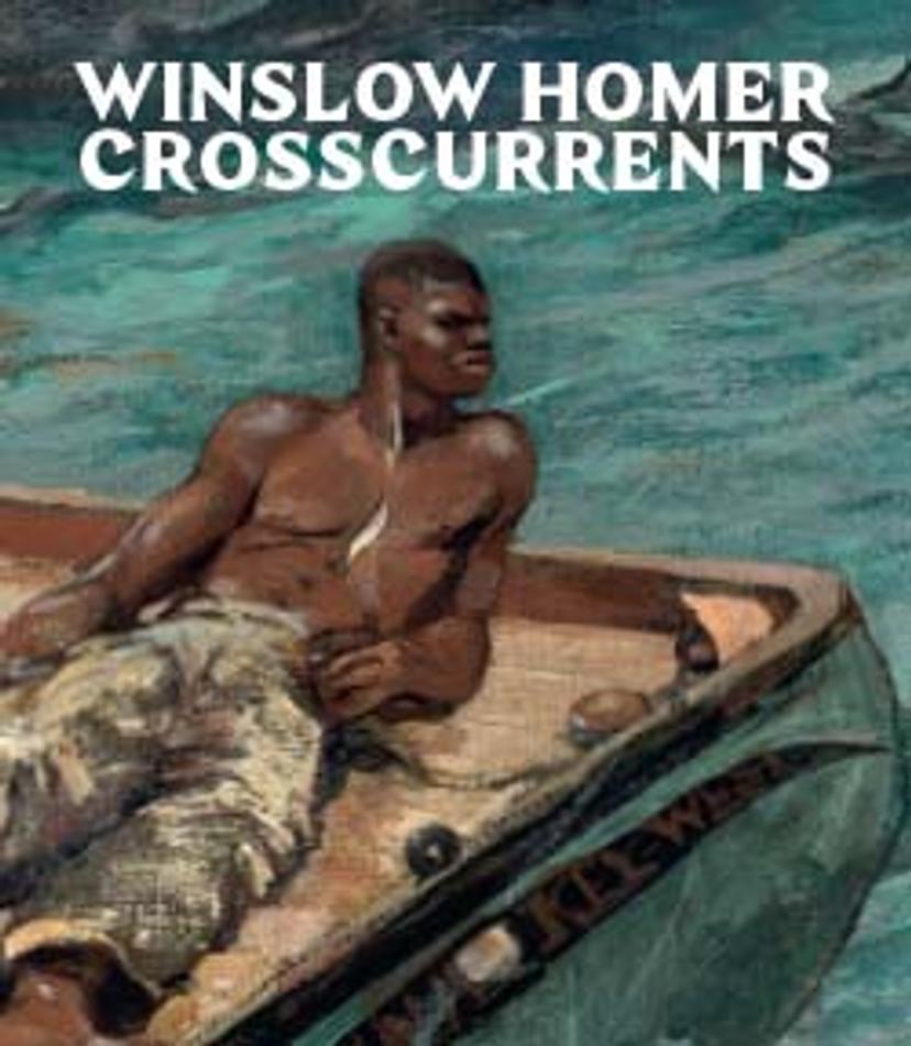 Winslow Homer - Snap the Whip - American - The Metropolitan Museum of Art