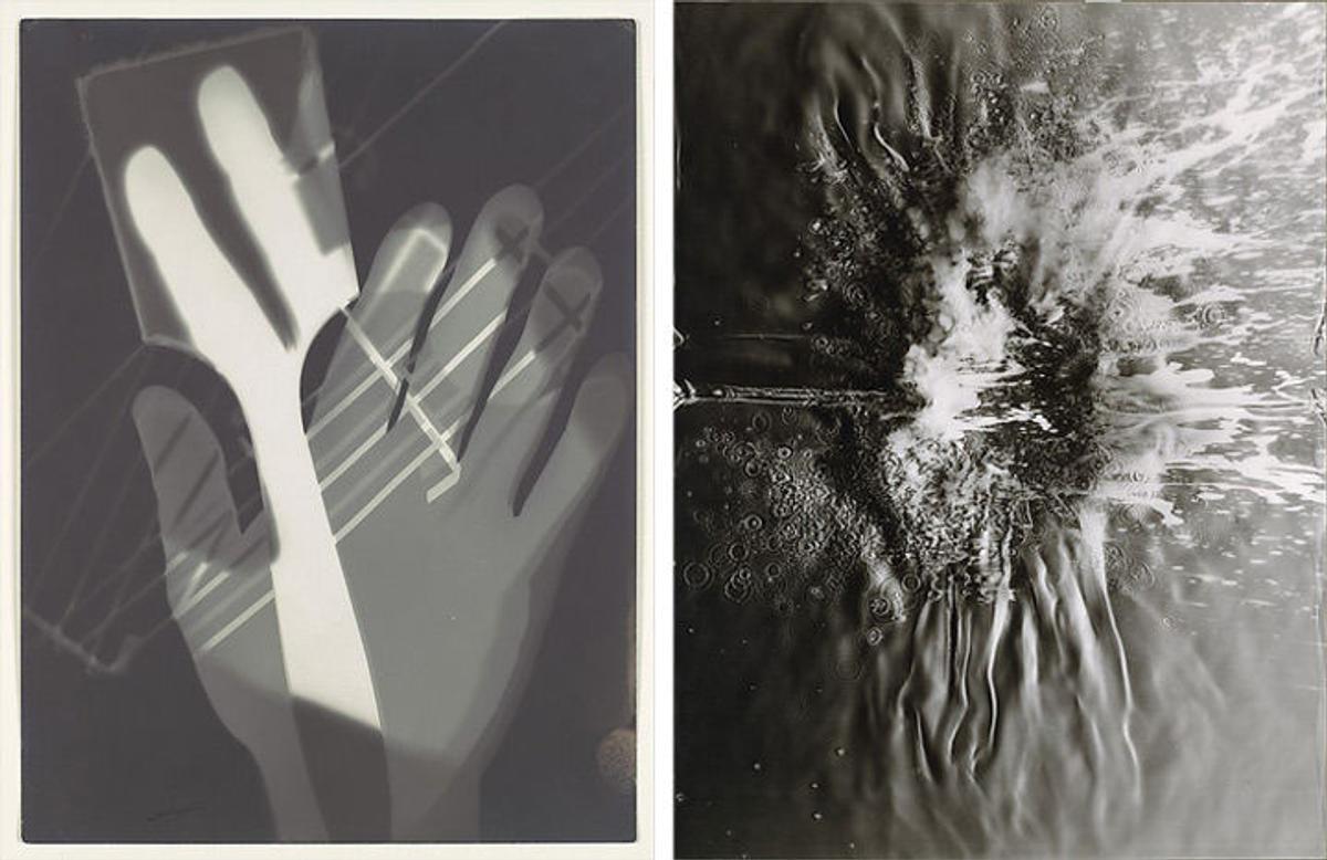 Make a Photogram: An Art Project for Sunny Days - The Metropolitan ...