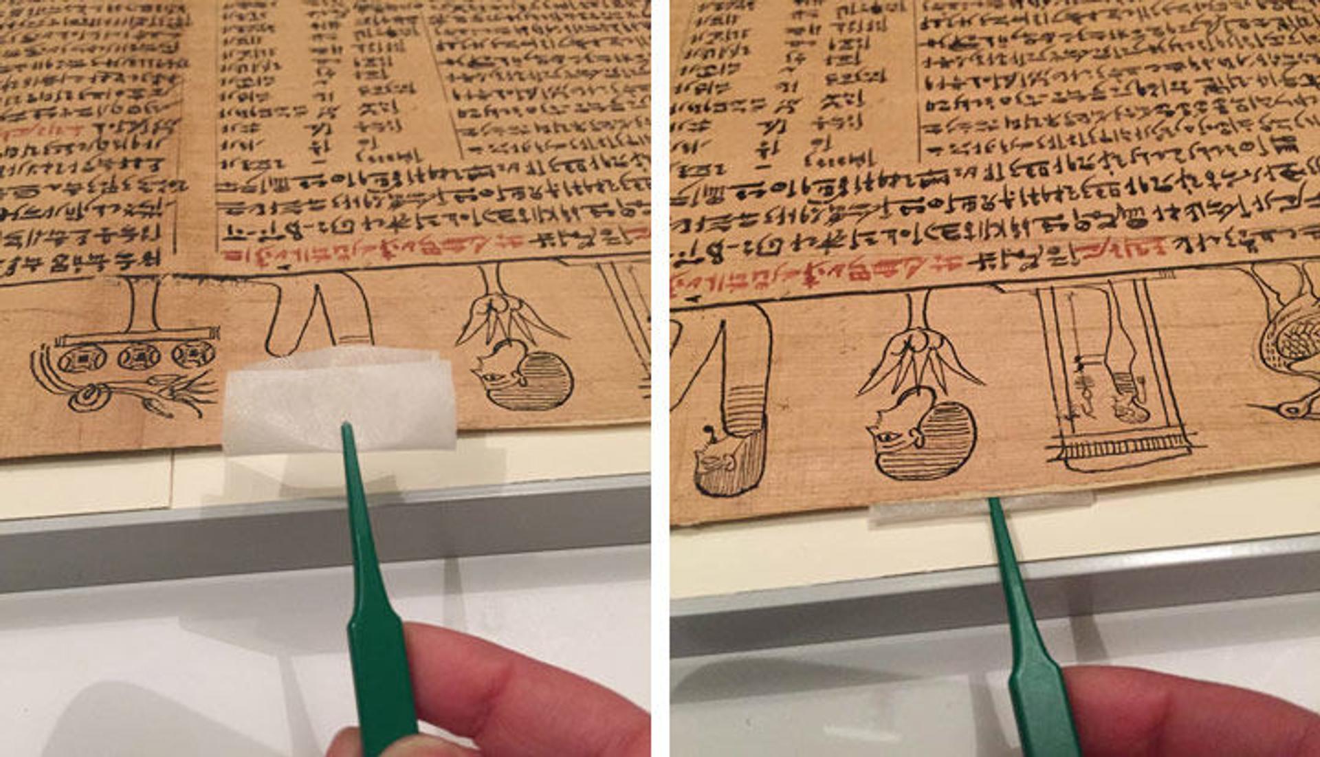 A New Life for the Book of the Dead - The Metropolitan Museum of Art