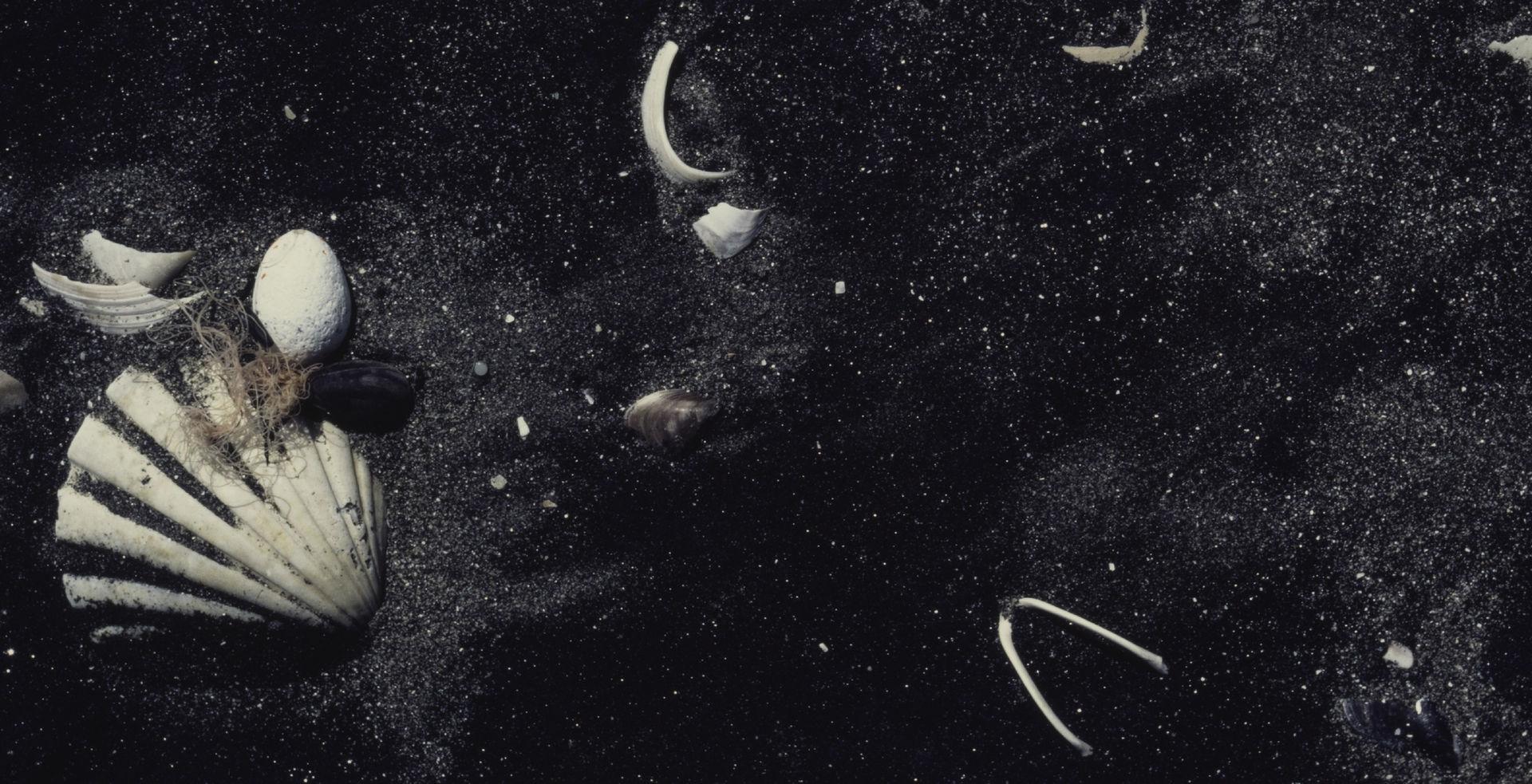 Immaterial - The Metropolitan Museum of Art