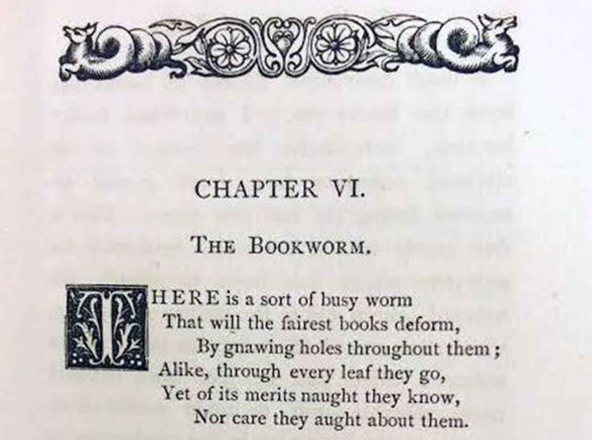A Book's Best Frenemy - The Metropolitan Museum of Art