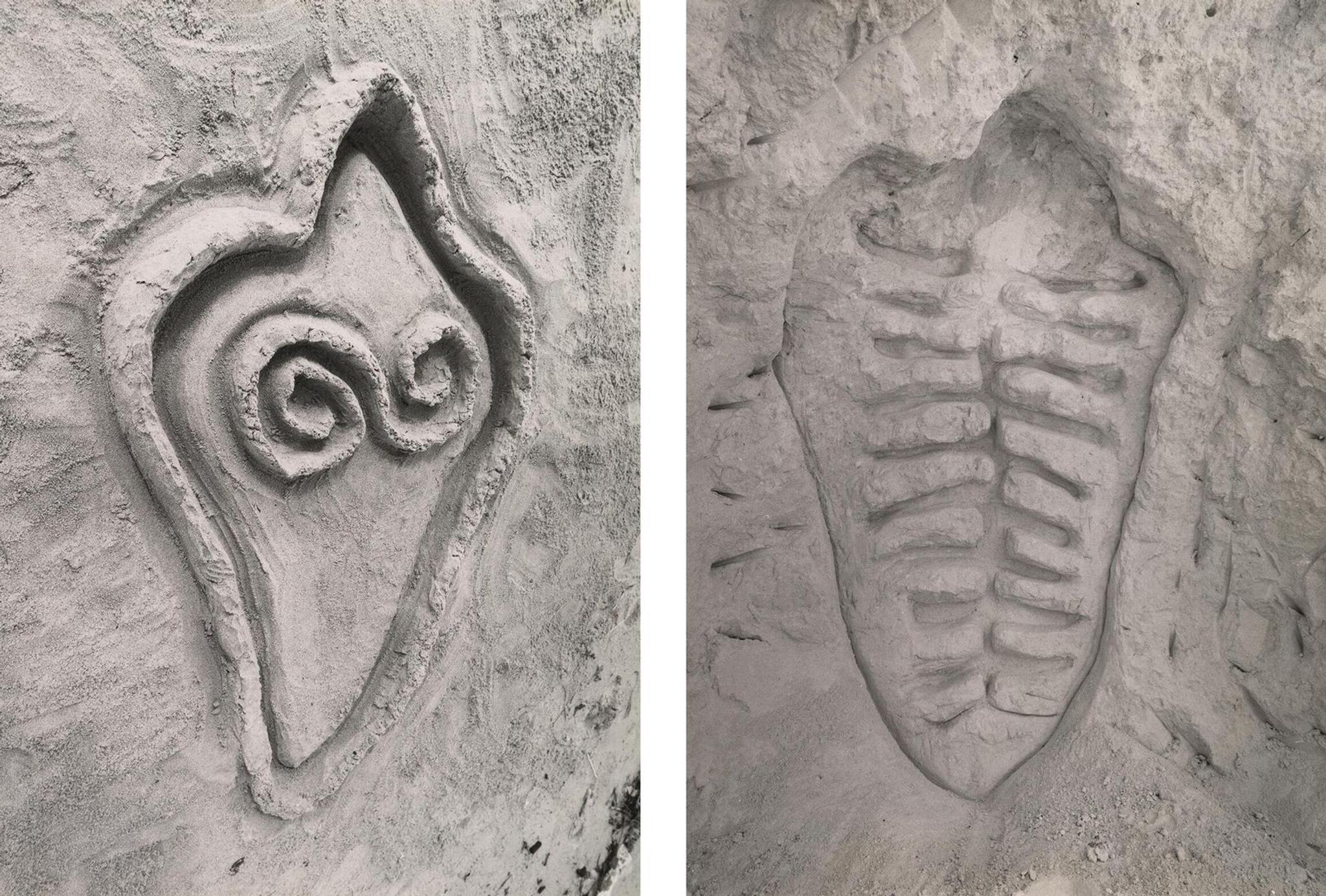 Remembering Ana Mendieta - The Metropolitan Museum of Art