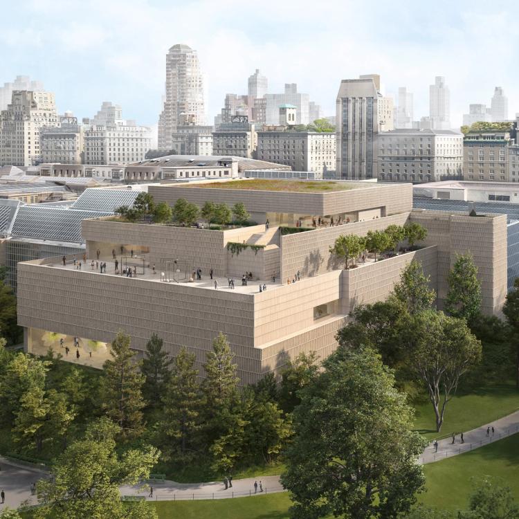 A First Look at the Designs for The Met’s New Modern and Contemporary ...
