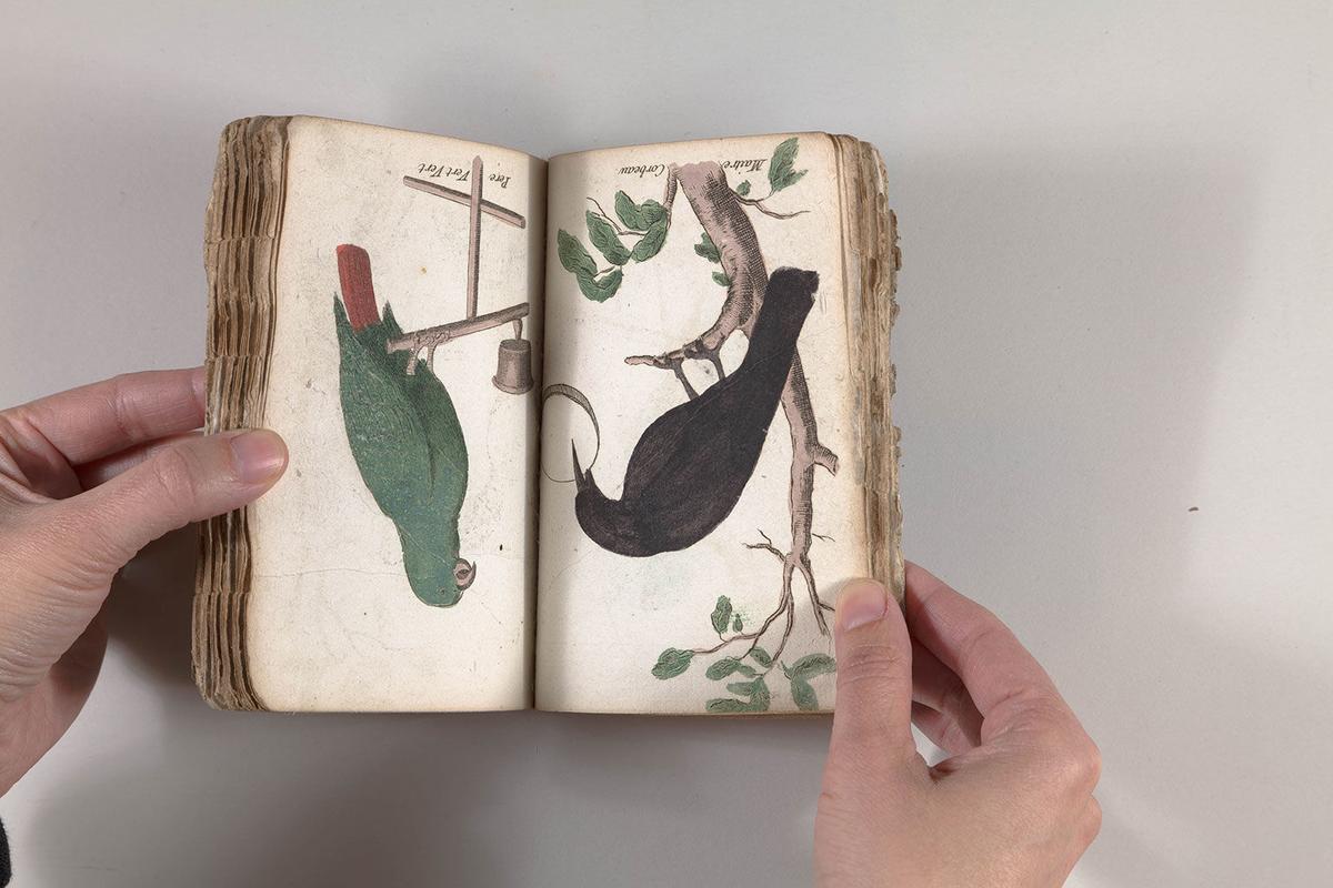 The Transforming Book - The Metropolitan Museum of Art
