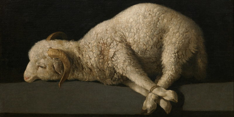 7 Ways to Preach Christ From the Old Testament | The Baptist Review