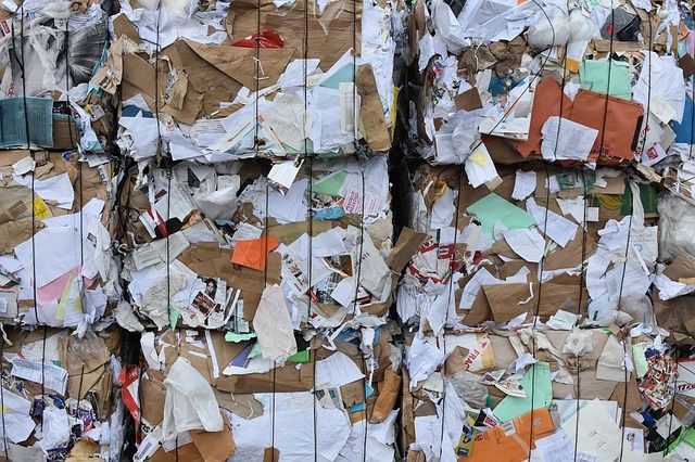 Declining paper recycling rates: Two in five pieces headed for landfill ...