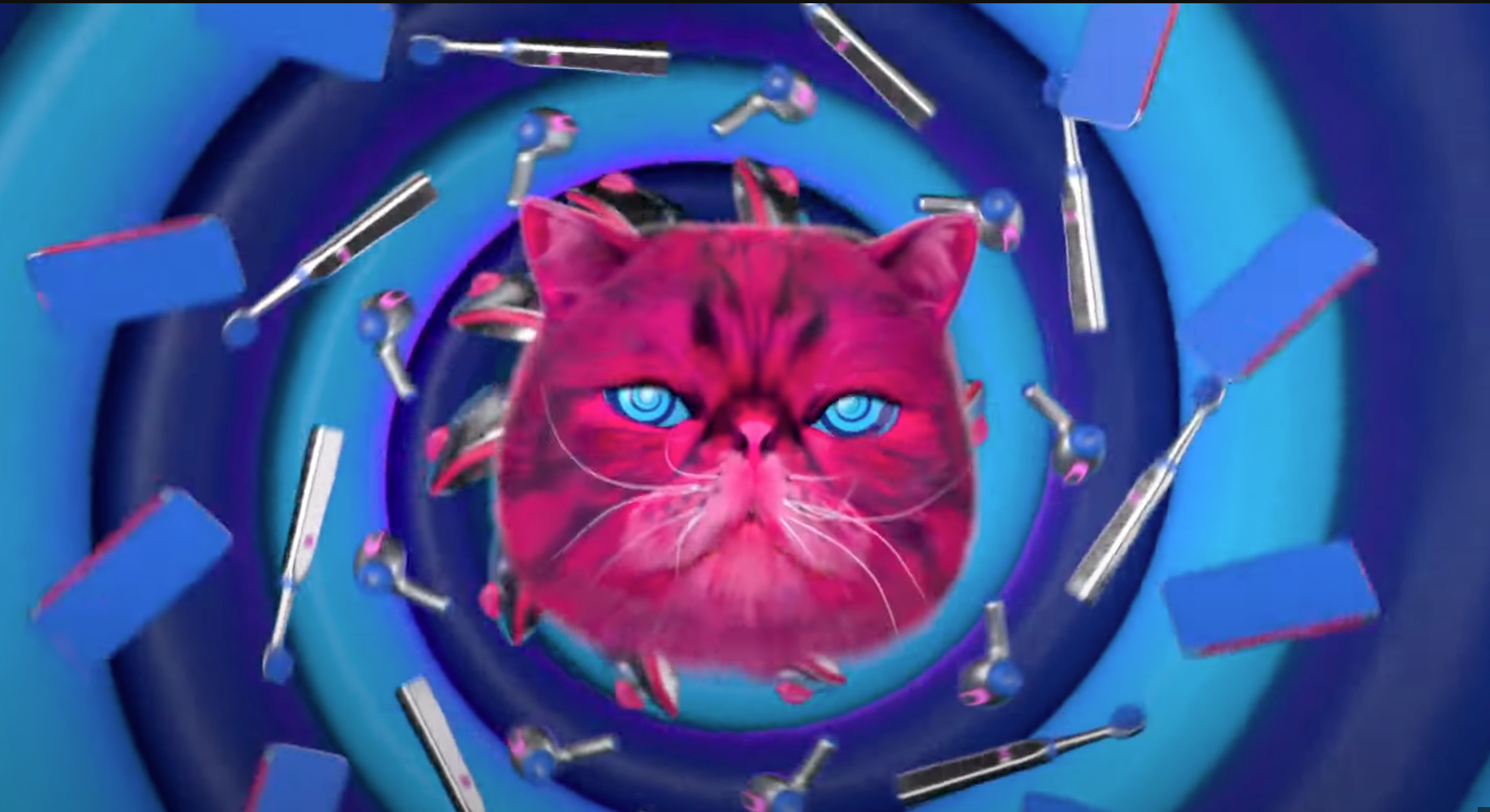 HypnoCat's electrical recycling encore on broadcast TV | Resource Media