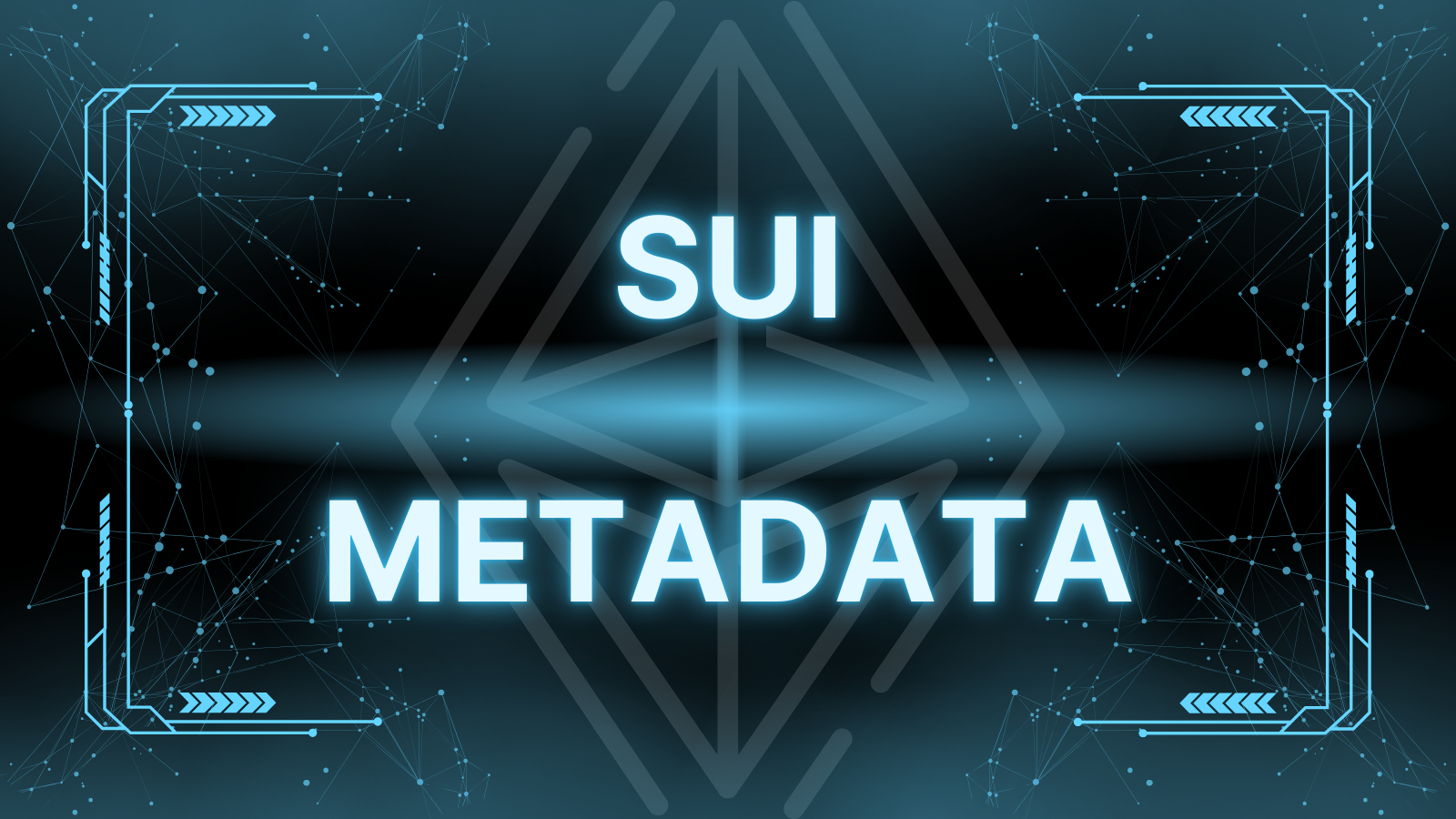 Building and Managing Custom Token Metadata on Sui