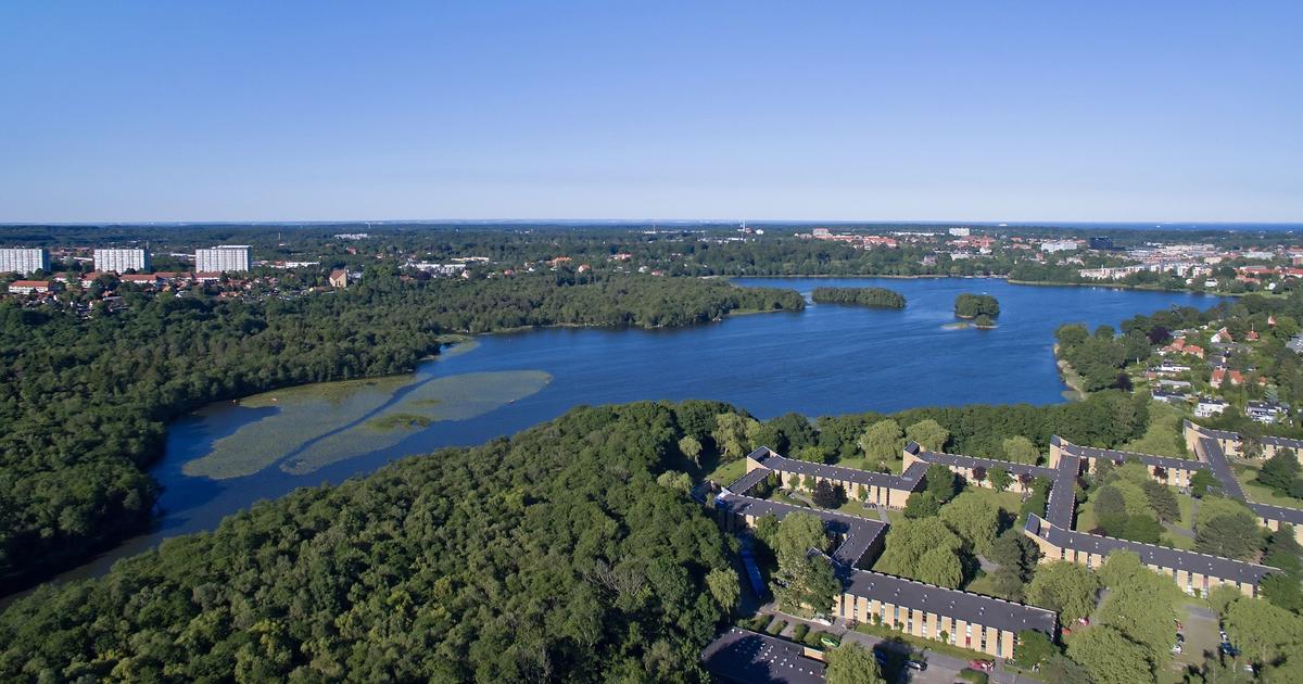 Bilsyn og biltest i Lyngby – Book dit syn eller test hos FDM i Lyngby ...