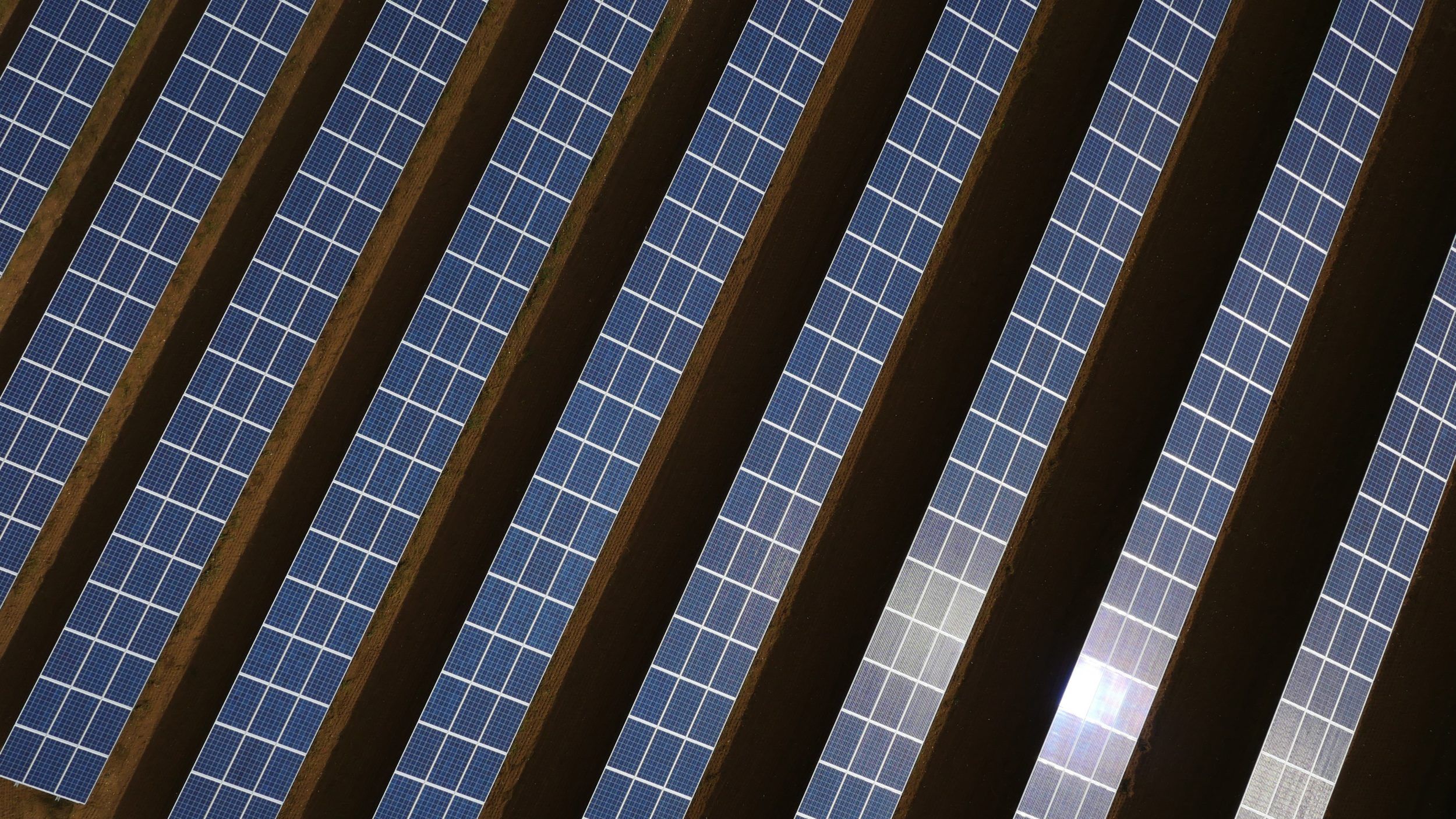 Fern Brook Solar Farm | Low Carbon