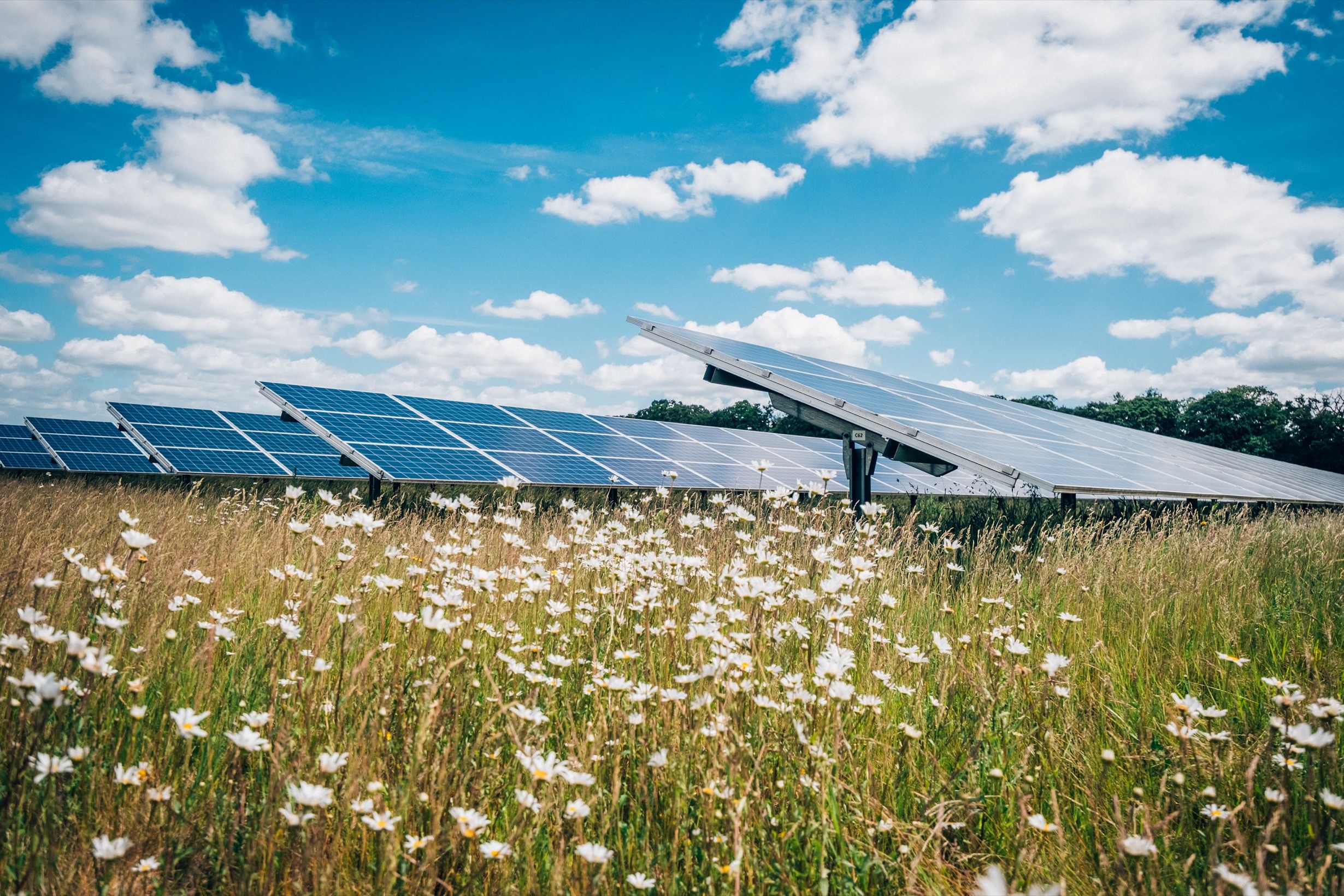 Ash Tree Solar Farm · Renewable Investments | Low Carbon
