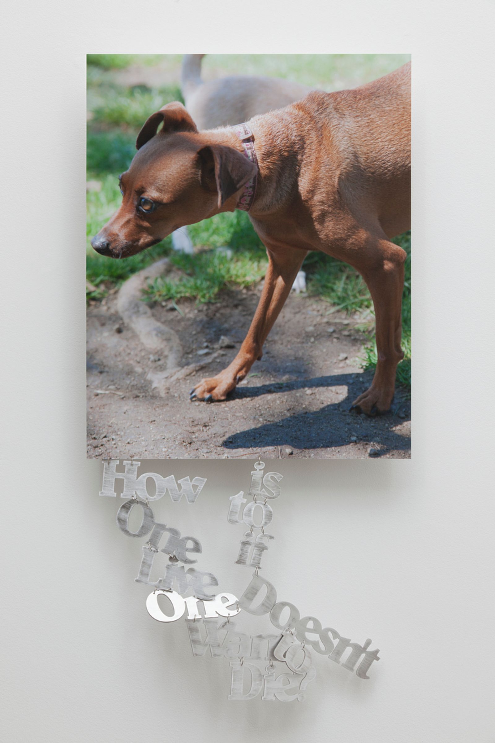 You and You're People | Dena Yago