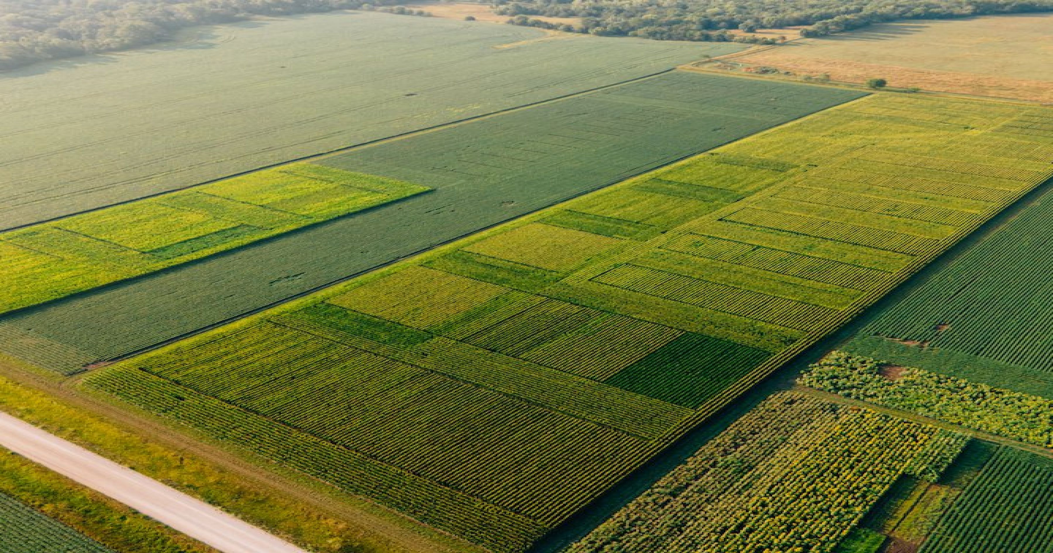 Our Sustainability & Impact | Pivot Bio