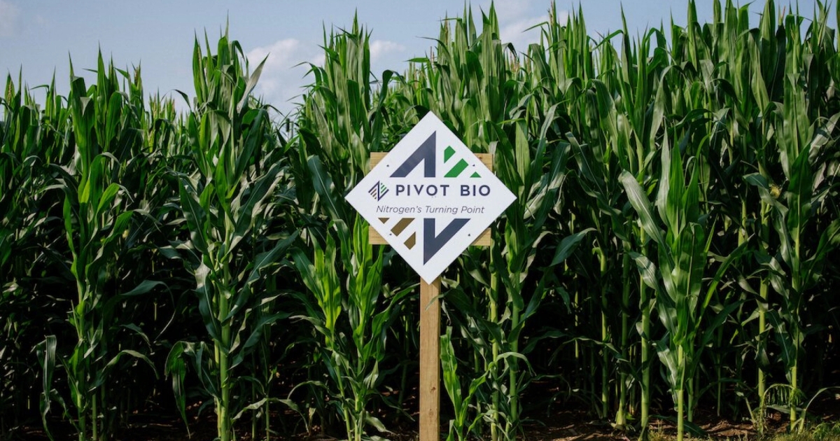 Pivot Bio In-Plant Nitrogen Study | Pivot Bio