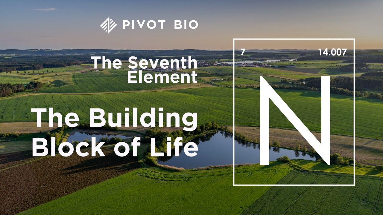The Building Block of Life: Nitrogen Makes it all Possible | Pivot Bio