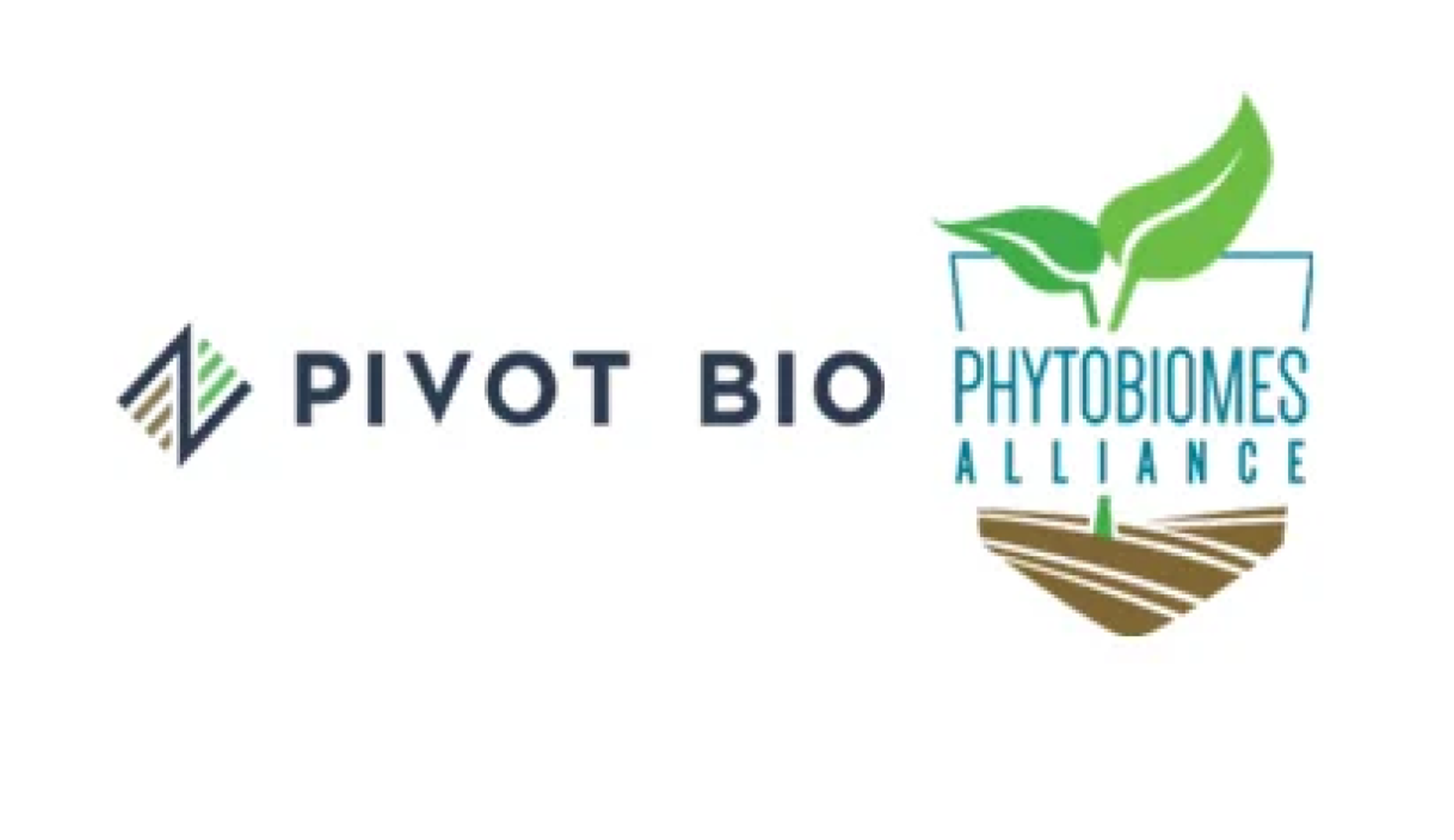 Pivot Bio Joins the International Phytobiomes Alliance | Pivot Bio