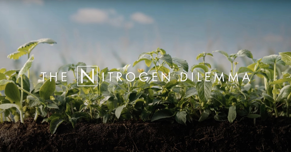 The Nitrogen Opportunity | Pivot Bio