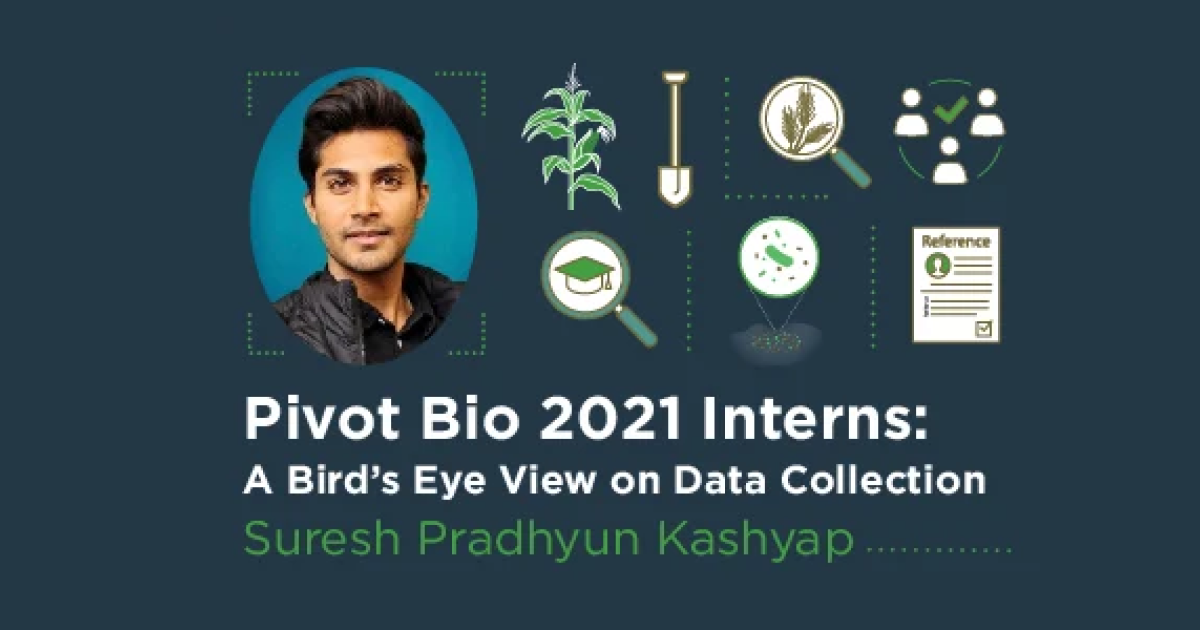 Pivot Bio 2021 Interns: A Bird's Eye View On Data Collection | Pivot Bio