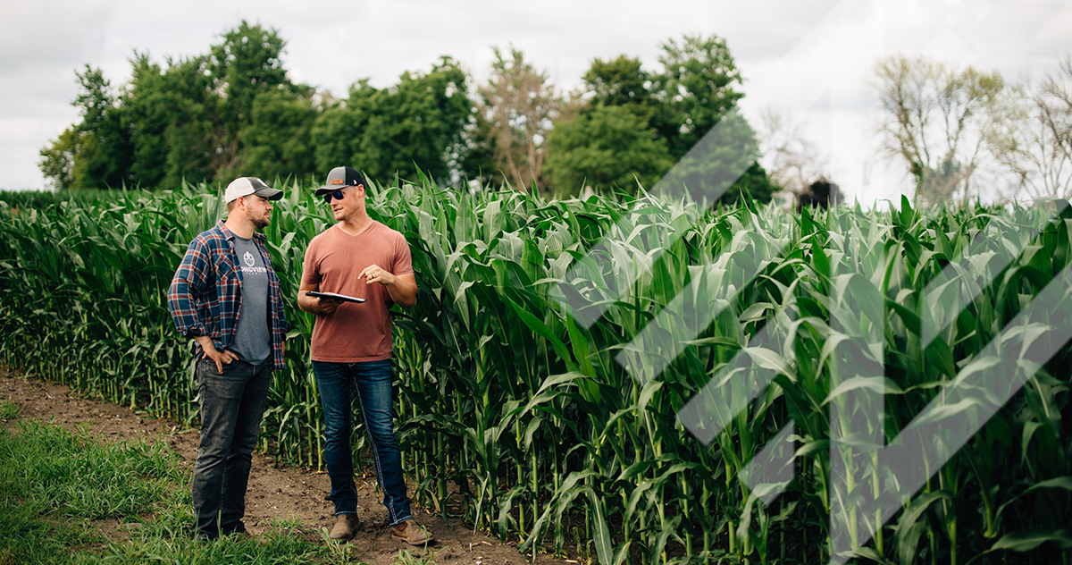 Pivot Bio Shares Four Trends Driving Agriculture Forward | Pivot Bio