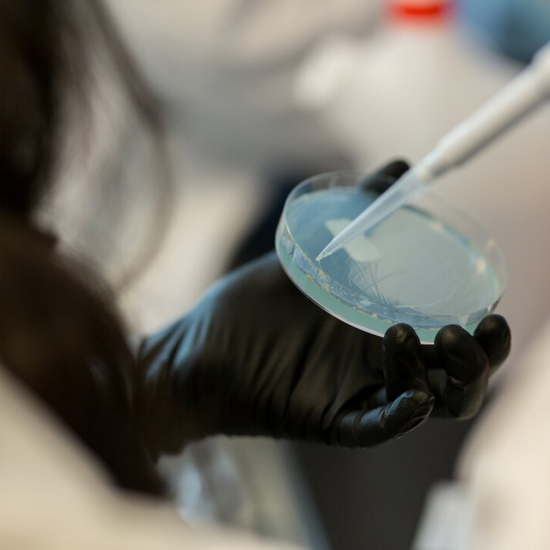 N-OVATOR™ Program | Pivot Bio