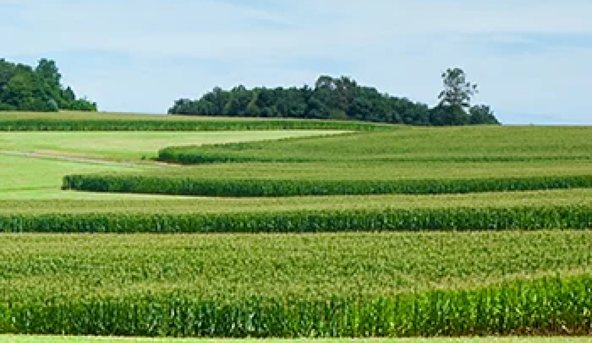 Optimizing Nitrogen with Microbes | Pivot Bio