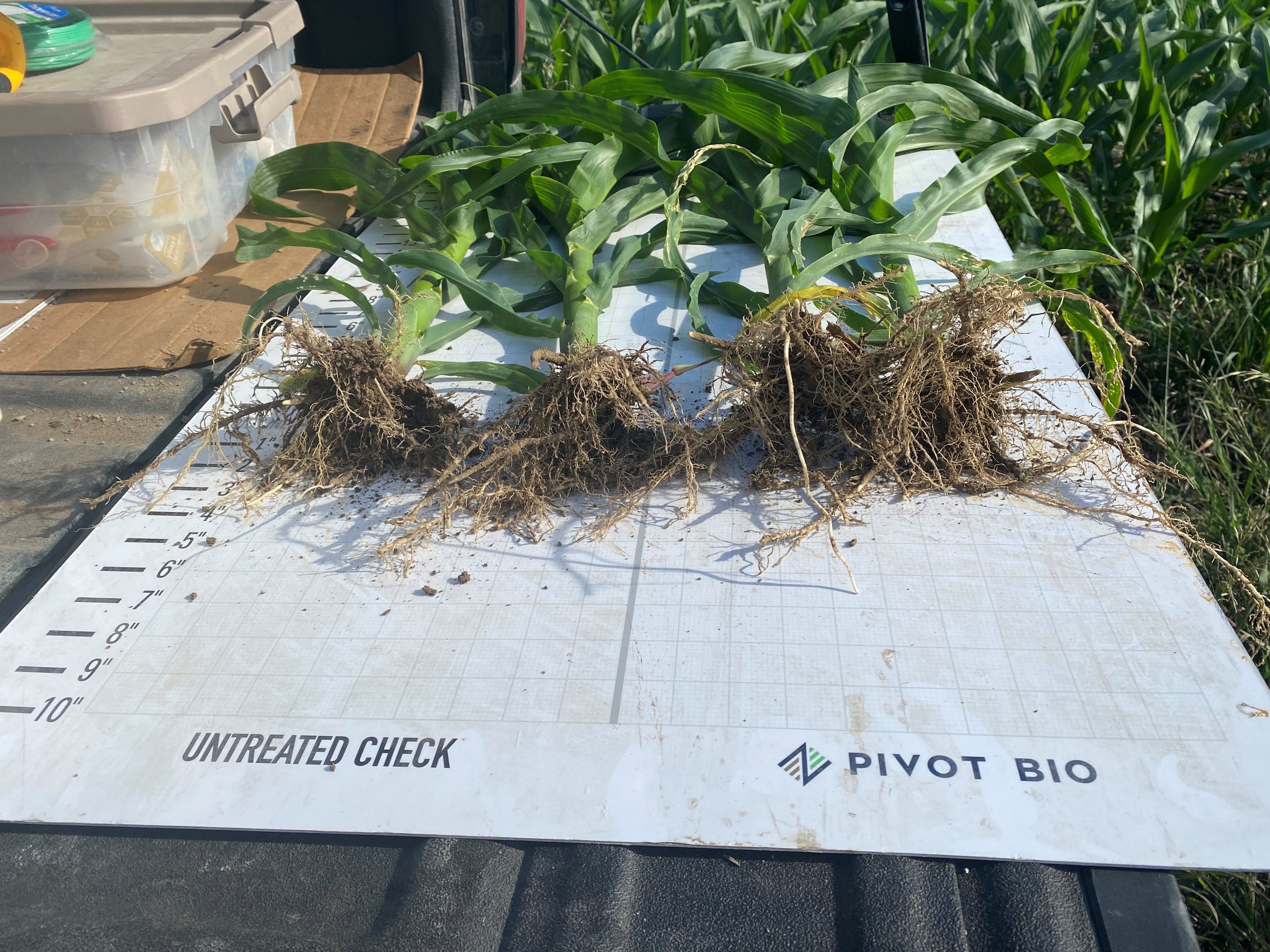 PROVEN® Performance | Pivot Bio