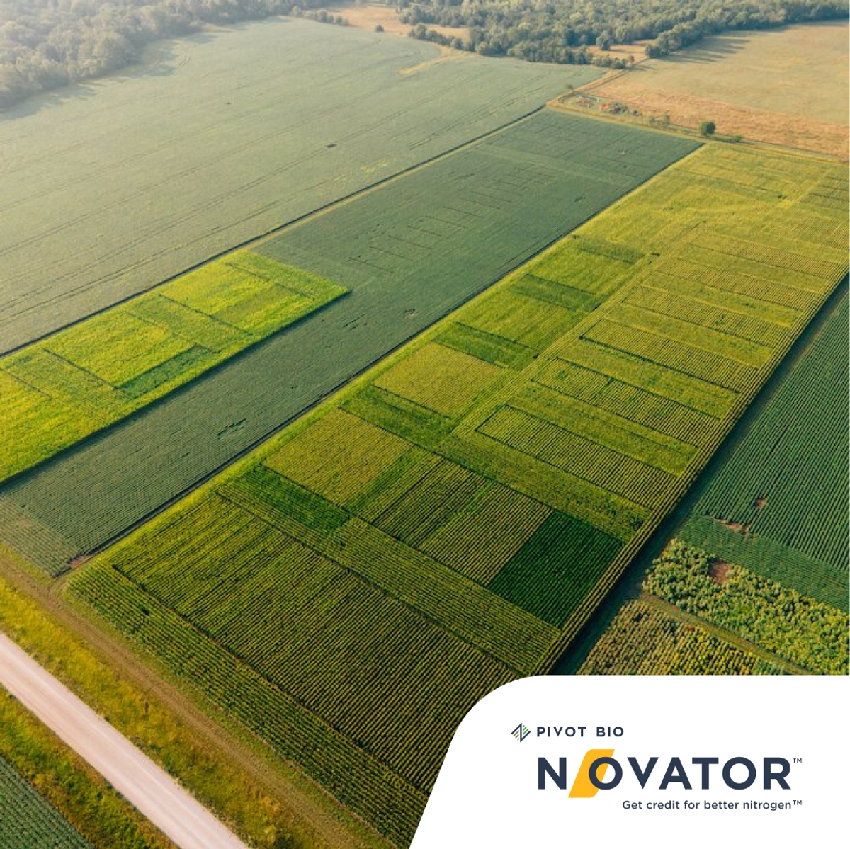 Our Sustainability & Impact | Pivot Bio