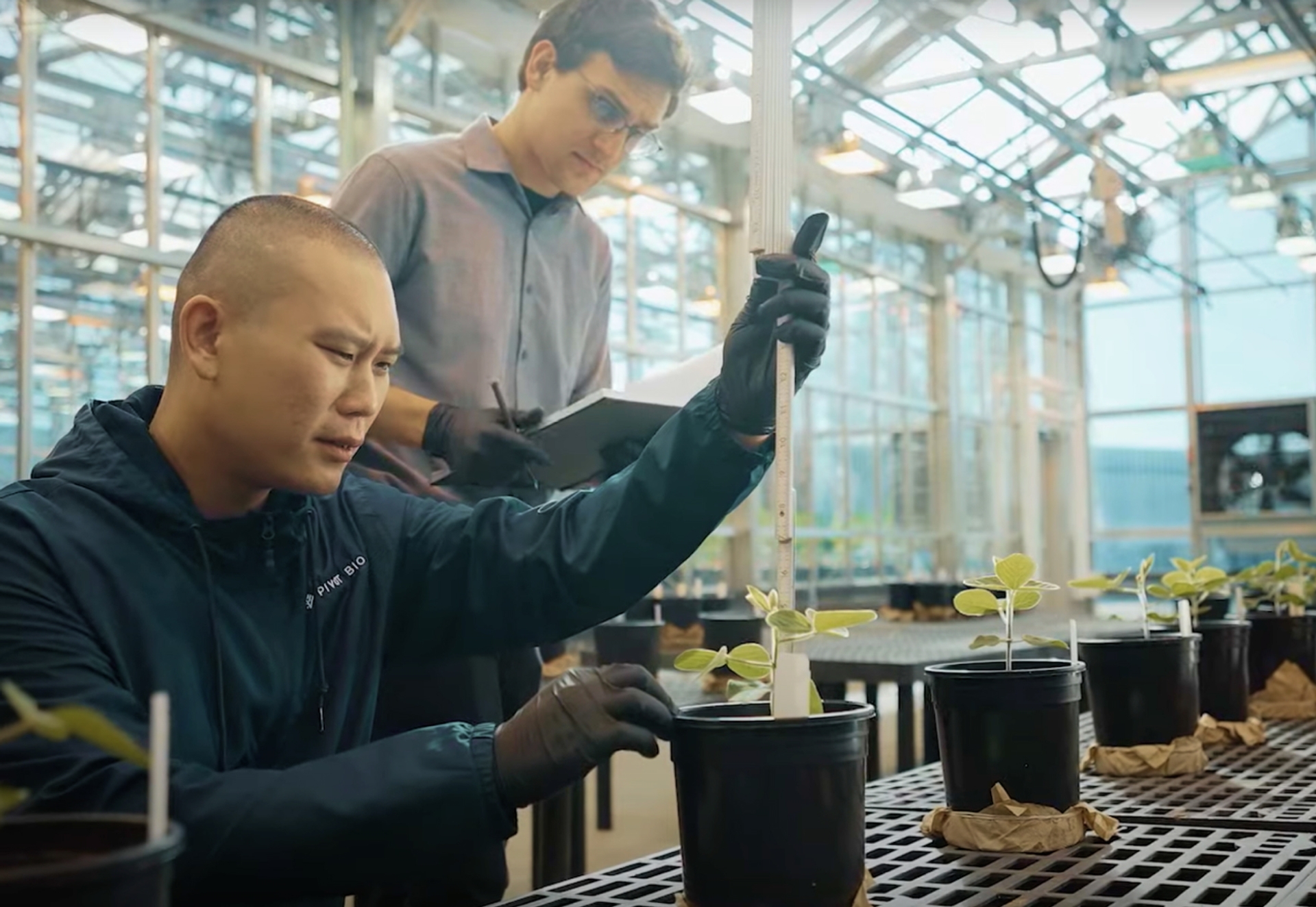 The Nitrogen Opportunity | Pivot Bio