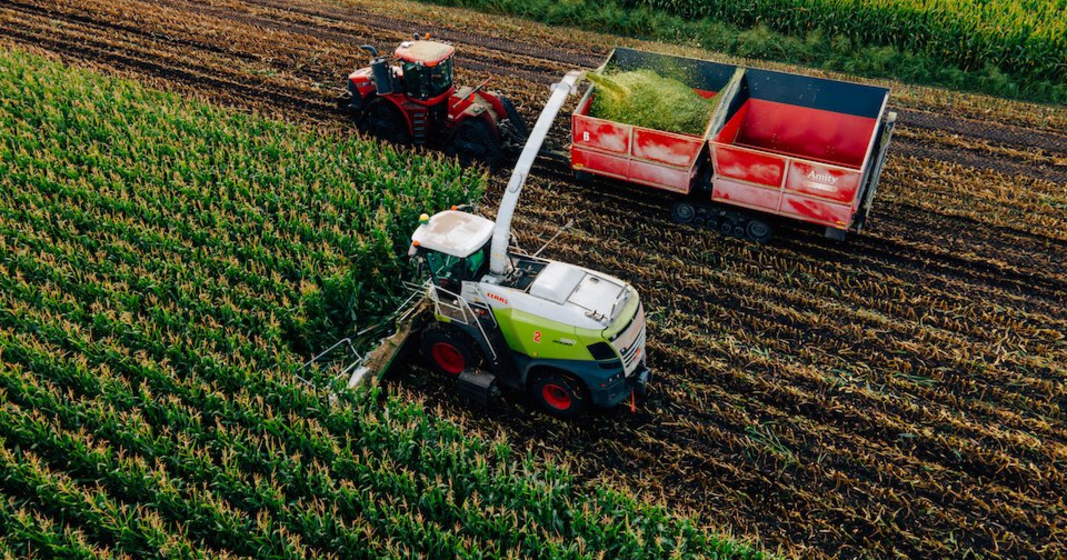 For Corn Silage | Pivot Bio