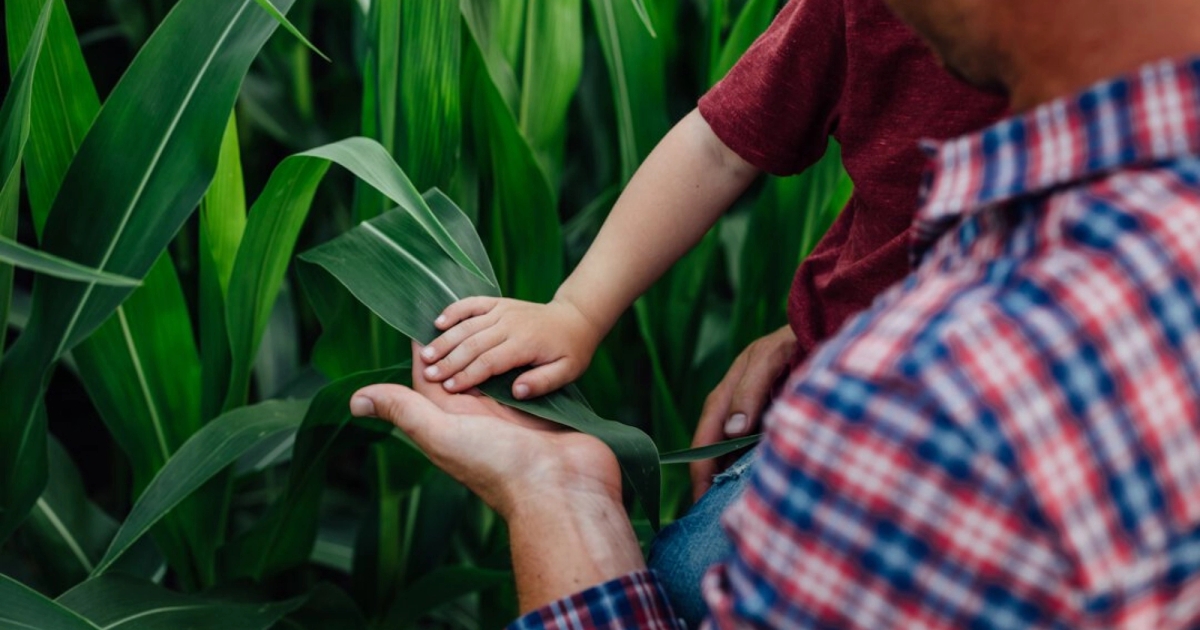 N-OVATOR™ Program - For Farmers | Pivot Bio