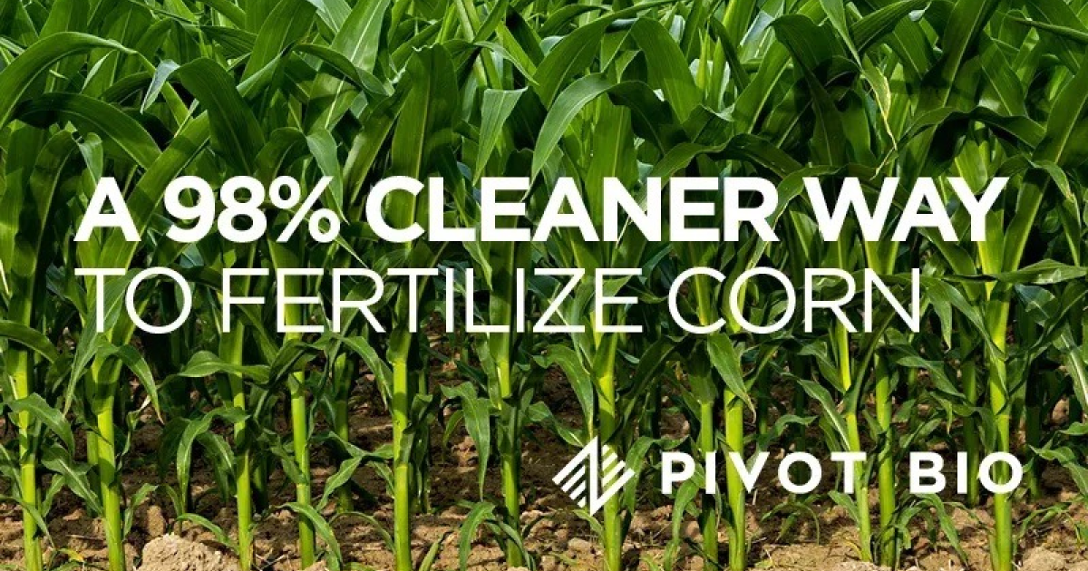 A 98% Cleaner Way to Fertilize Corn | Pivot Bio