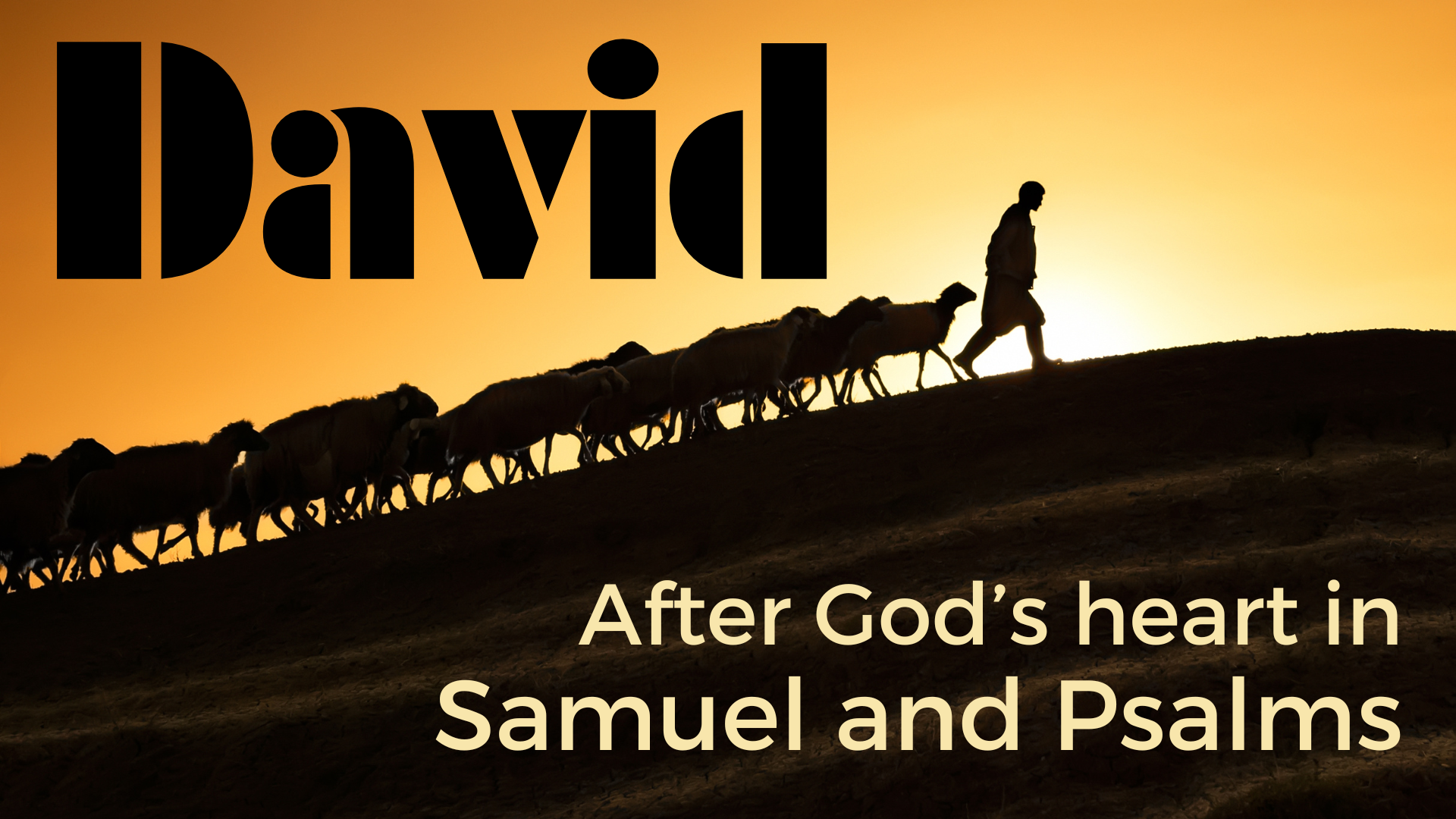 David: Dance | Living Hope Church