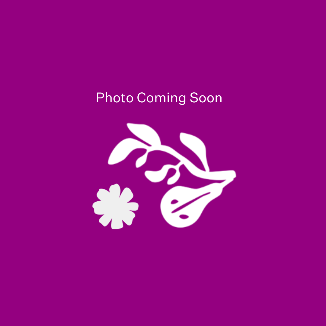 Women's Health Specialists Providers | Herself Health