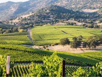 EnRoute Wines | Russian River Valley Pinot Noir & Chardonnay