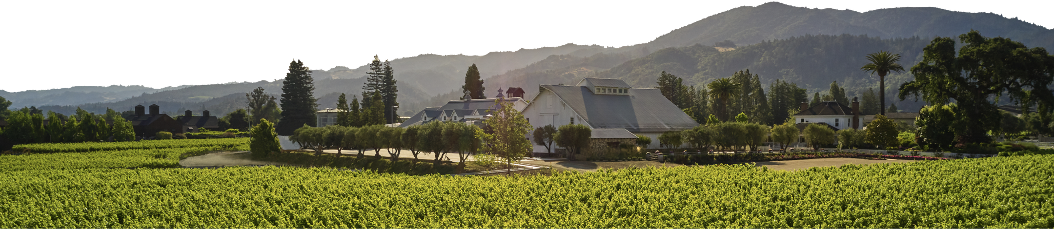 2021 Far Niente Chardonnay, Napa Valley