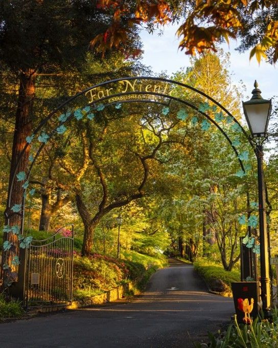 Visit Nickel & Nickel