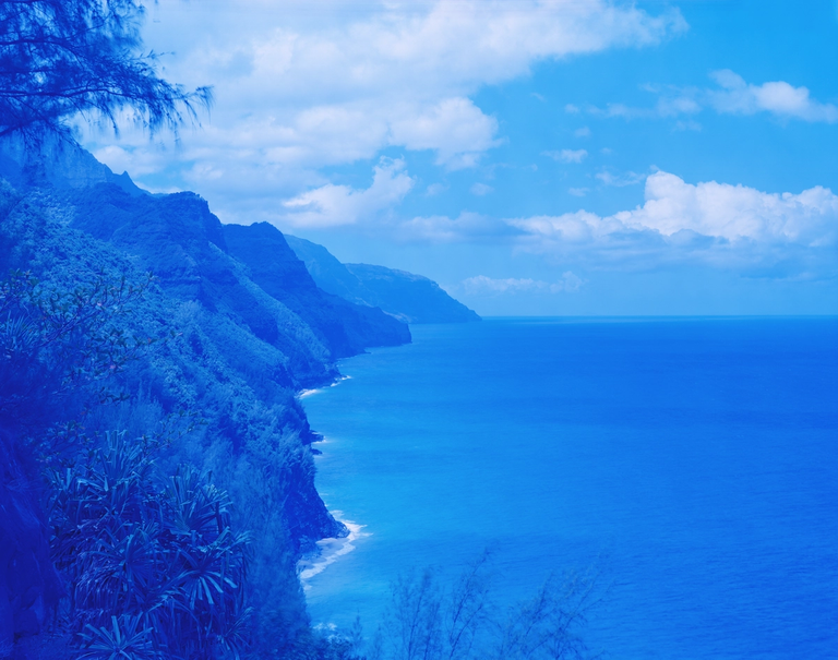 Salon 94 | David Benjamin Sherry