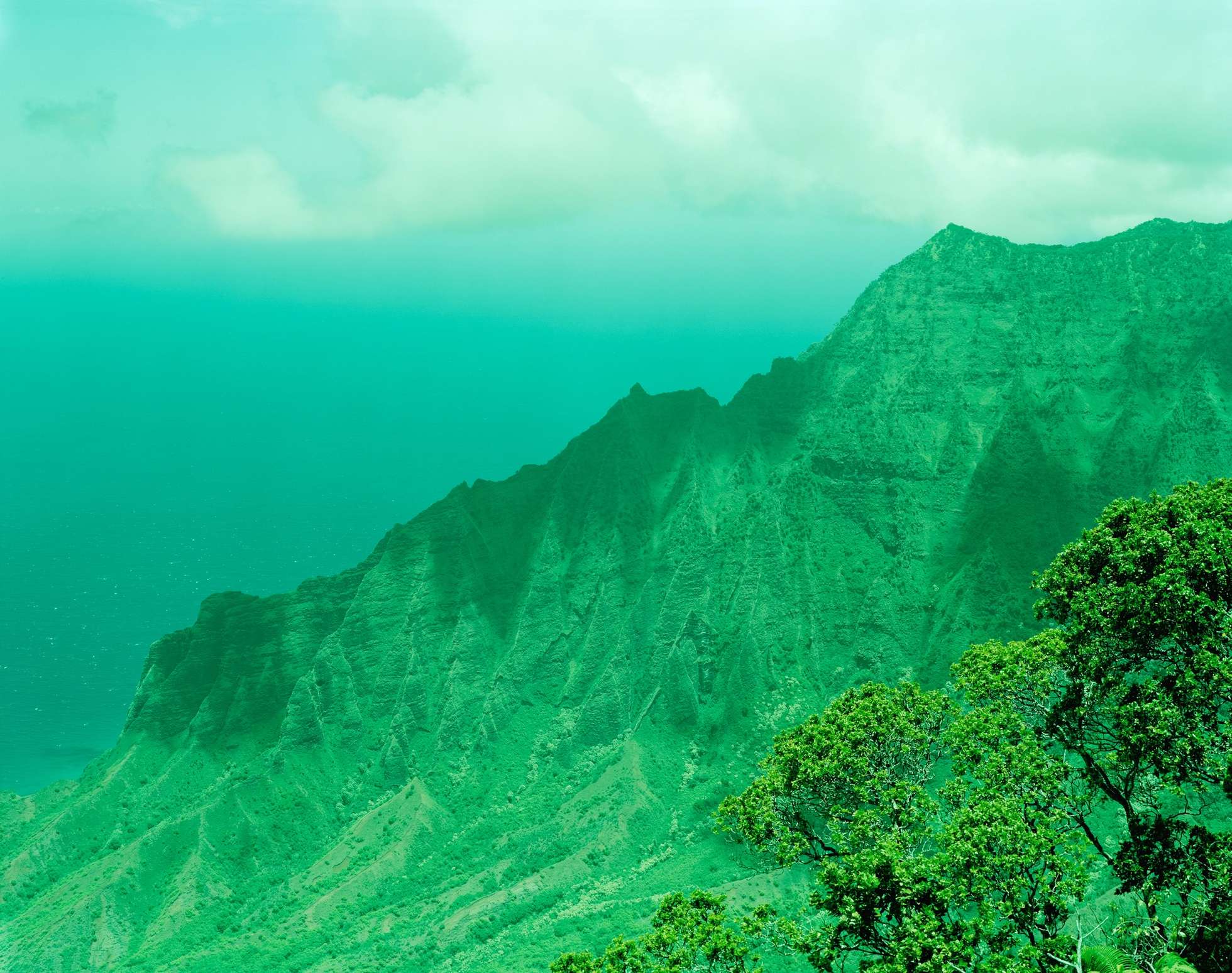 Salon 94 | David Benjamin Sherry