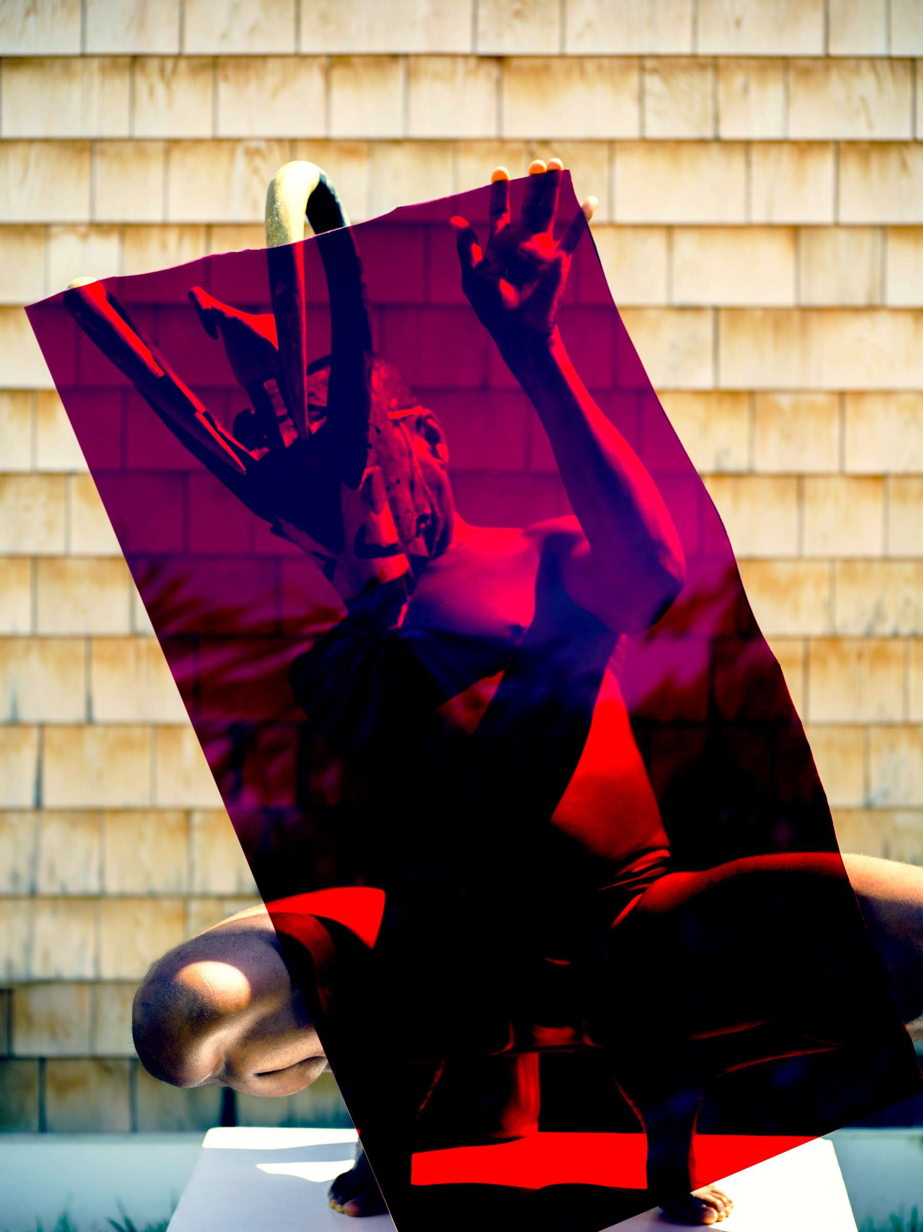 Salon 94 | Lyle Ashton Harris