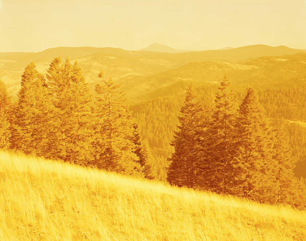 Salon 94 | David Benjamin Sherry