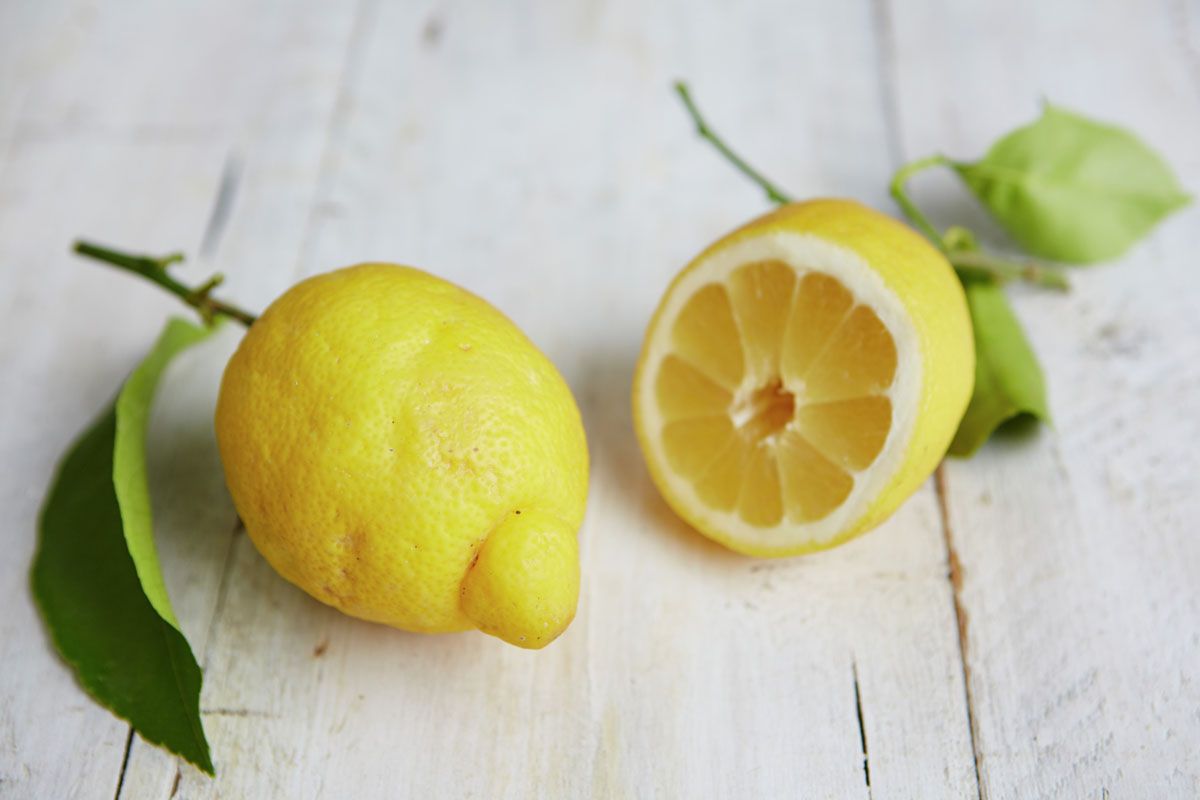 What to cook with lemons | Features | Jamie Oliver