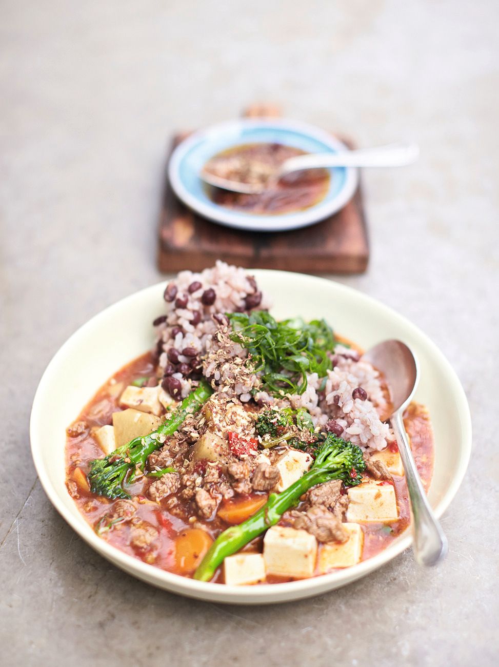 Chinese steak & tofu stew