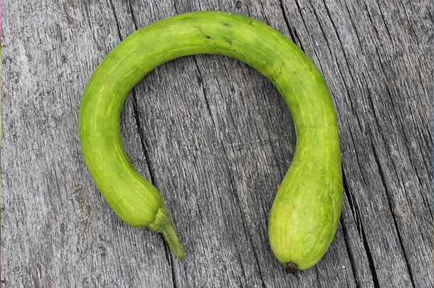 How to cut down on food waste: wonky veg | Features | Jamie Oliver