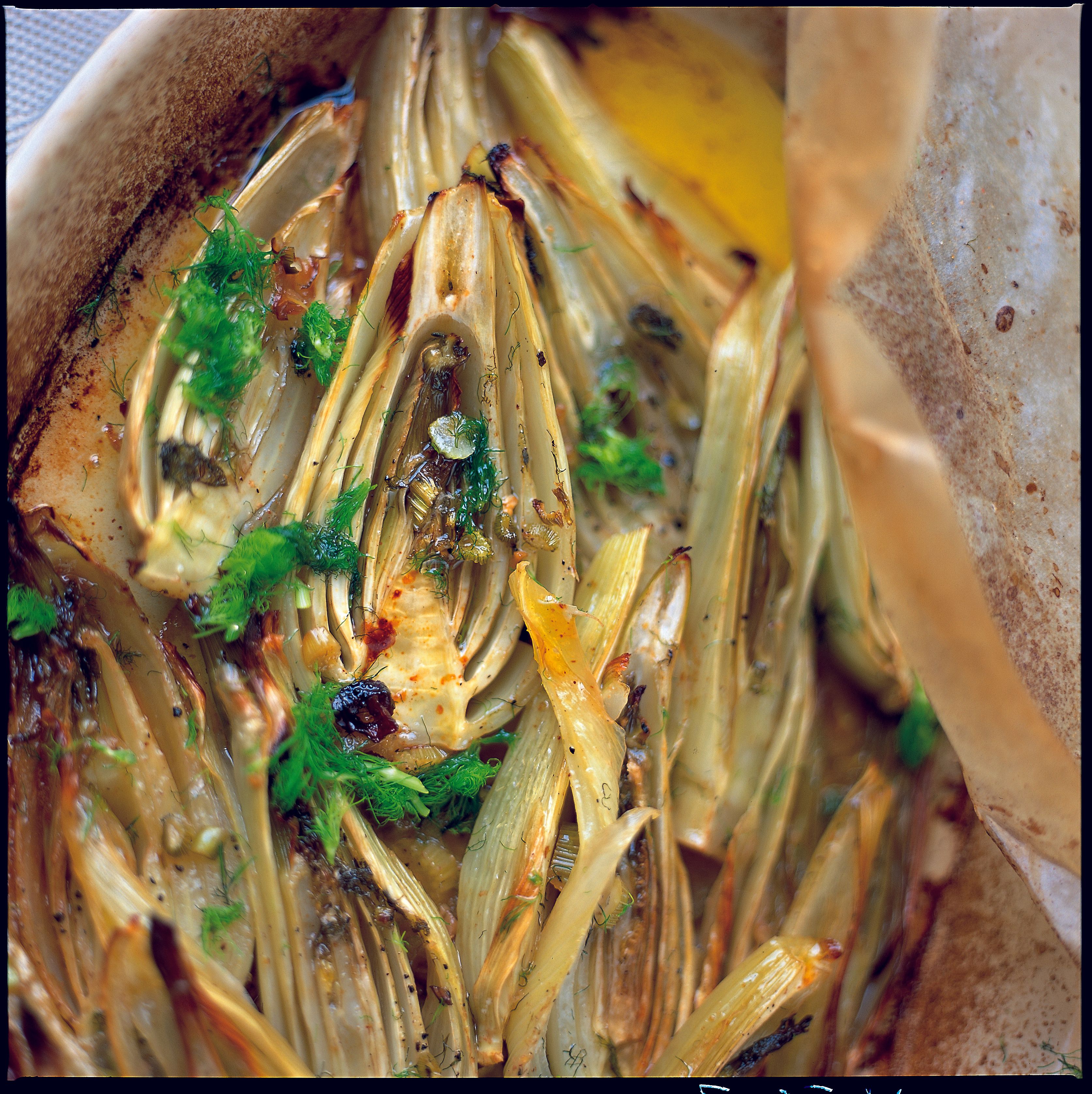 Baked fennel with garlic butter & vermouth
